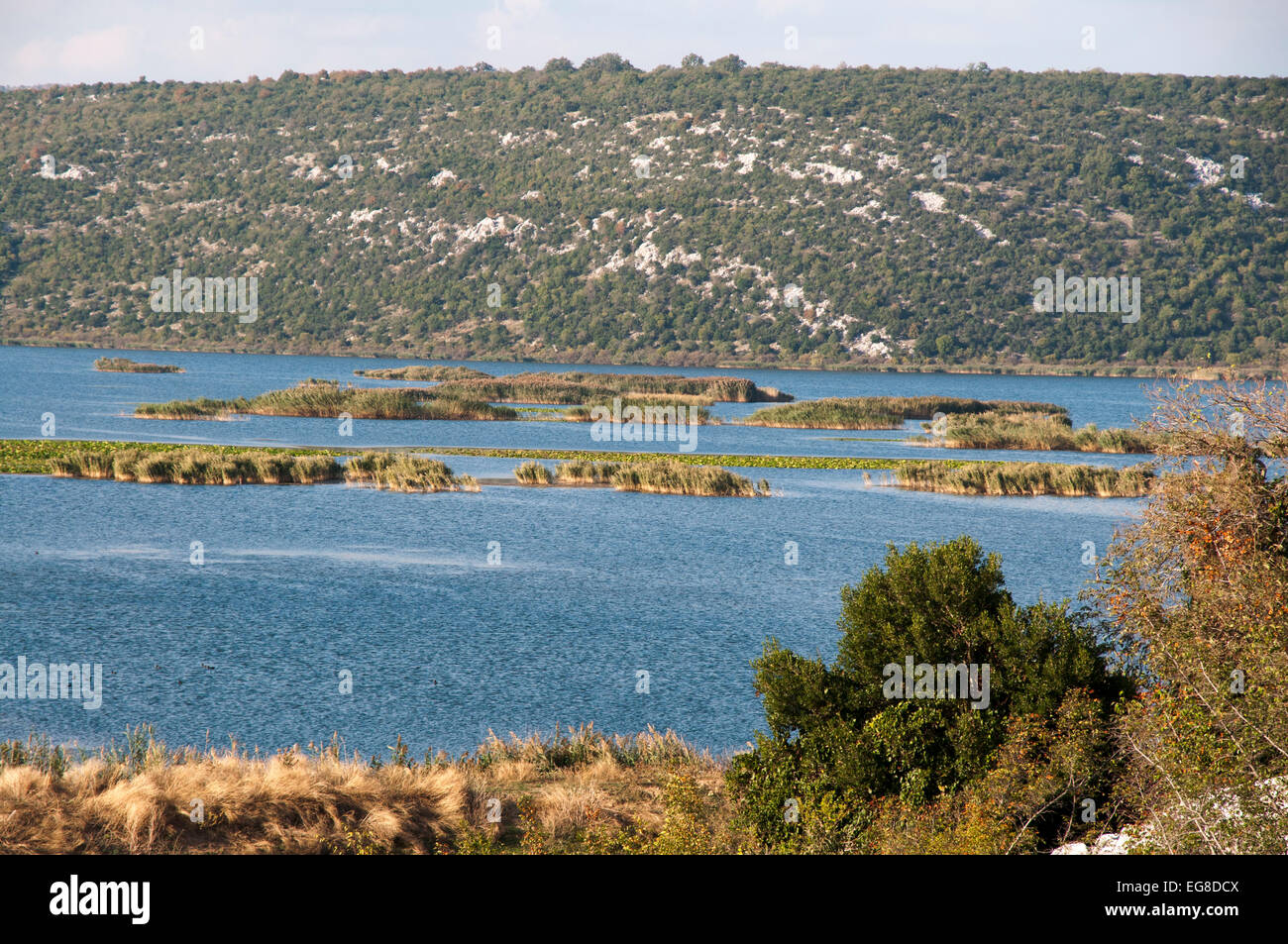 Hutovo Blato is a nature and bird wetland reserve mainly composed of ...