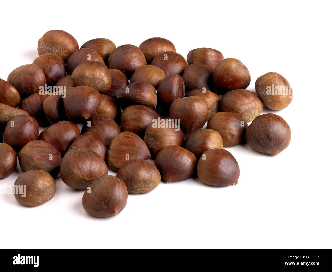 Woodland chestnuts hi-res stock photography and images - Alamy