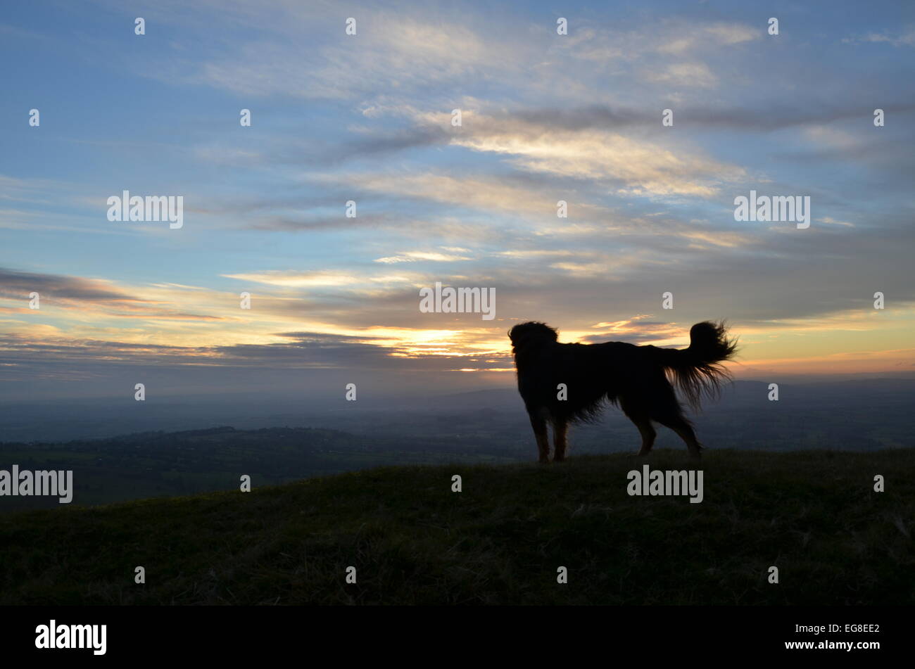 Overlooking the world Stock Photo - Alamy