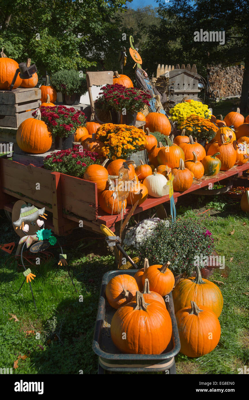 GIFTSHOP DISPLAY SMICKSBURG GREAT SHAMOKIN PATH INDIANA COUNTY ...