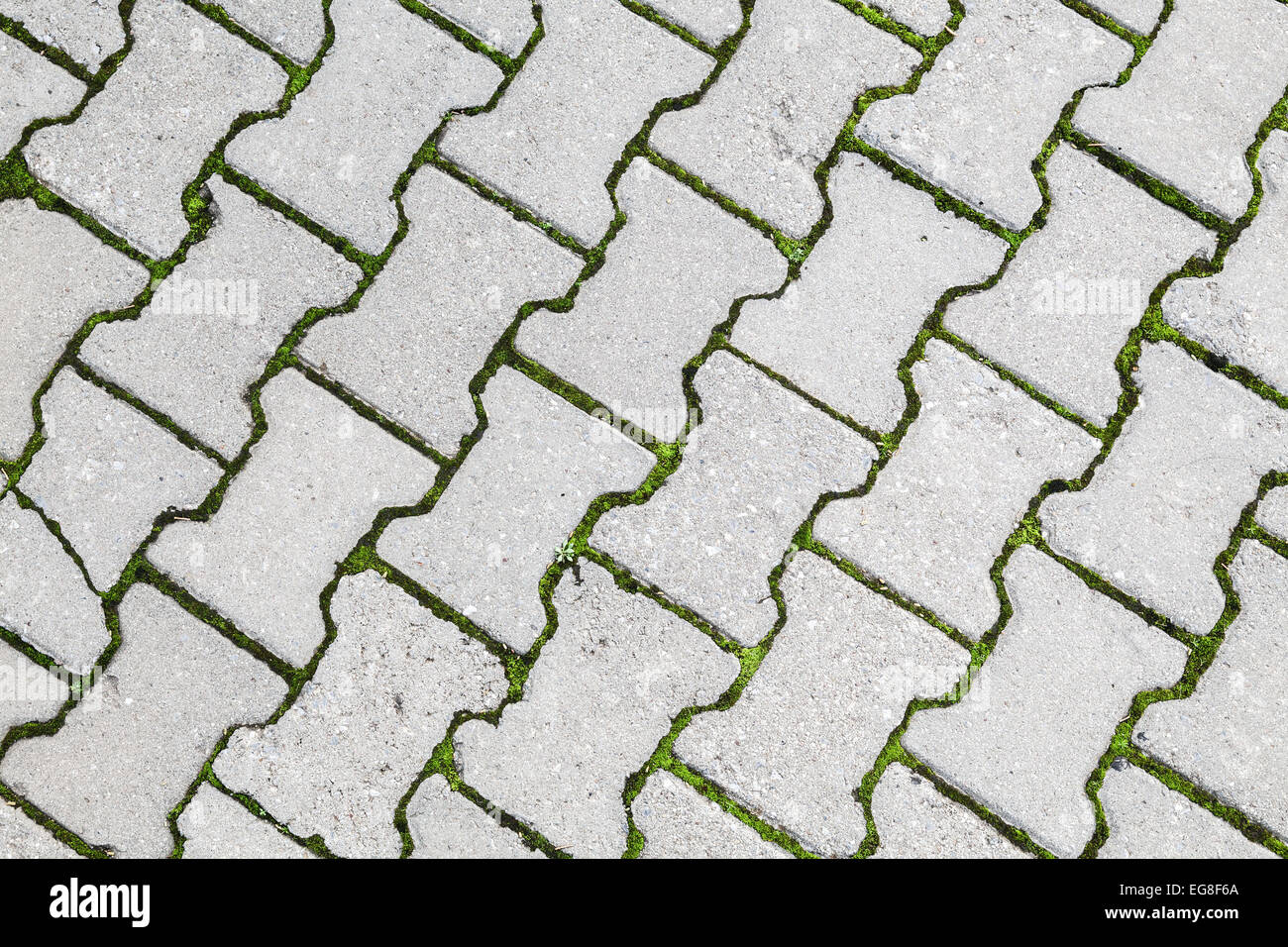 Abstract urban background texture. Green grass grows through modern ...