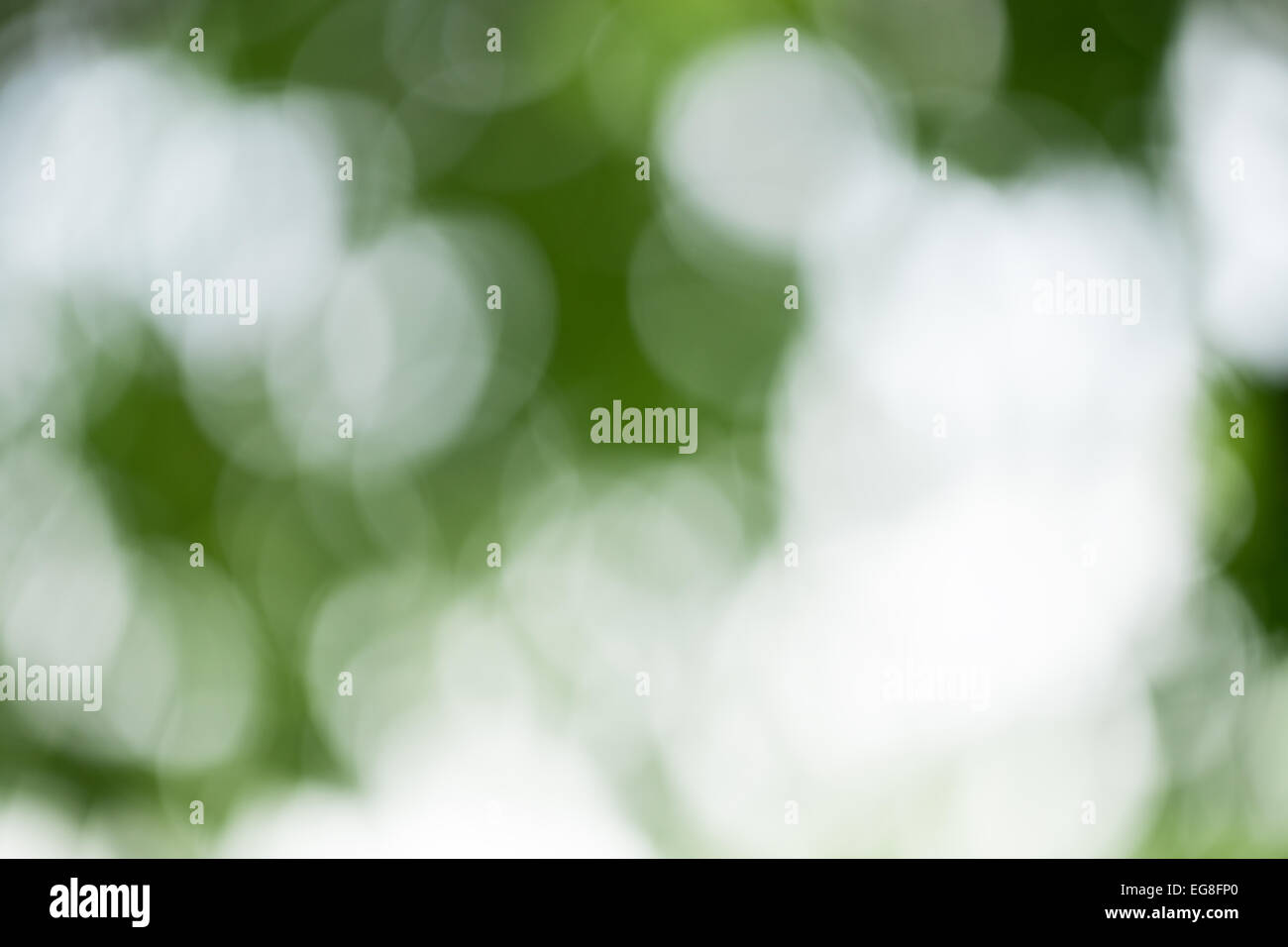 Bokeh with leaf hi-res stock photography and images - Alamy