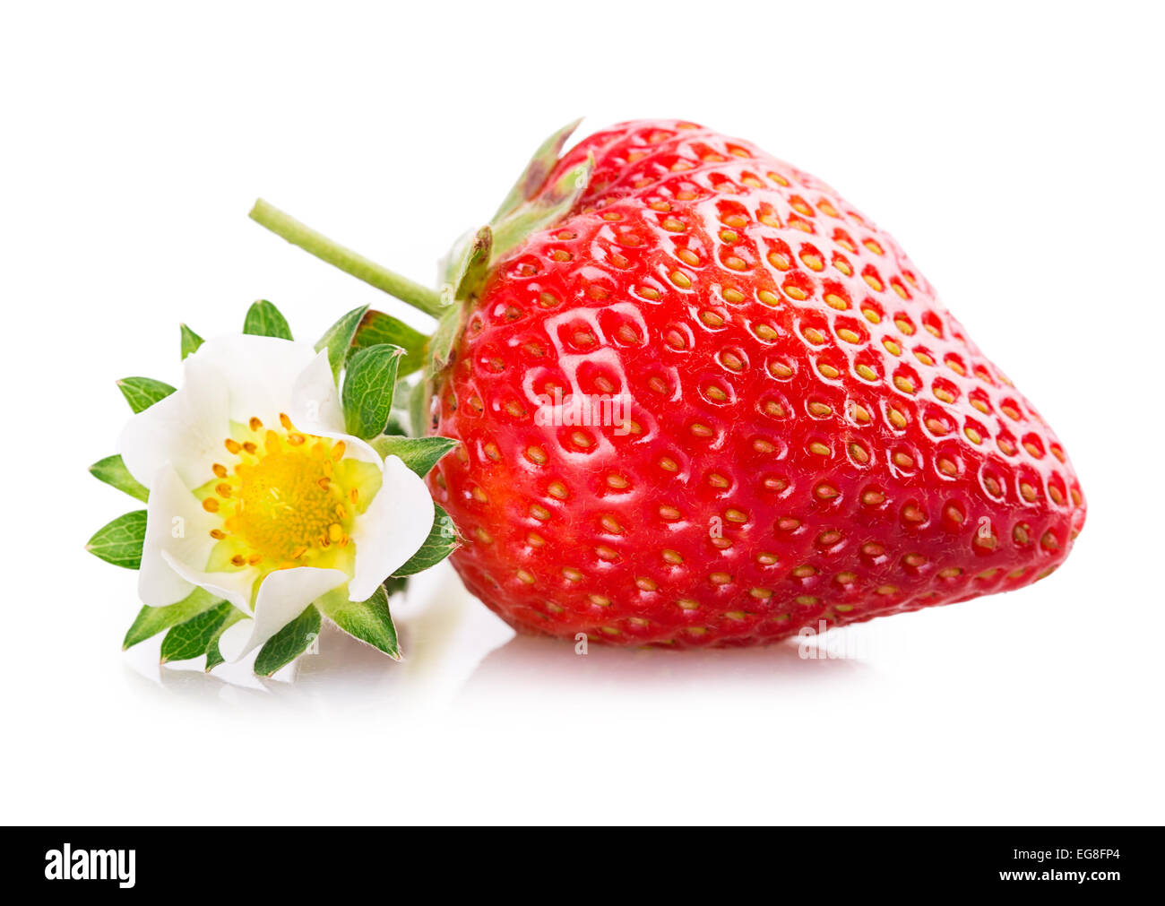 strawberry isolated white background Stock Photo - Alamy