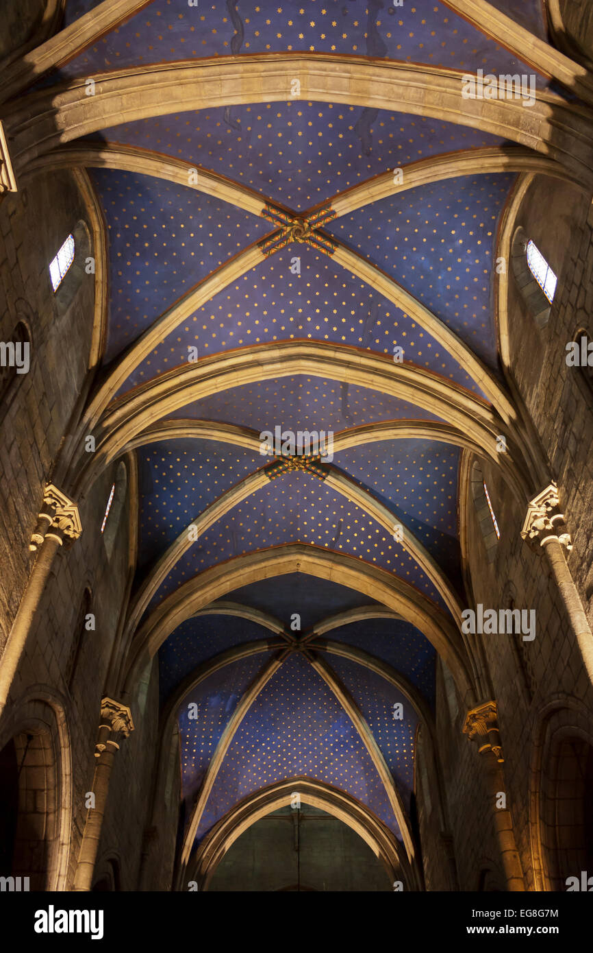 Starry cathedral ceiling Stock Photo - Alamy