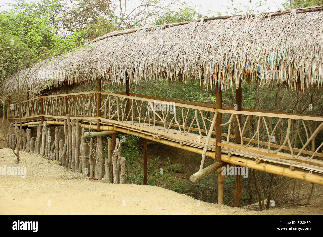 A bamboo bridge with a thatch roof over a gorge in Agua Blanca, Ecuador ...