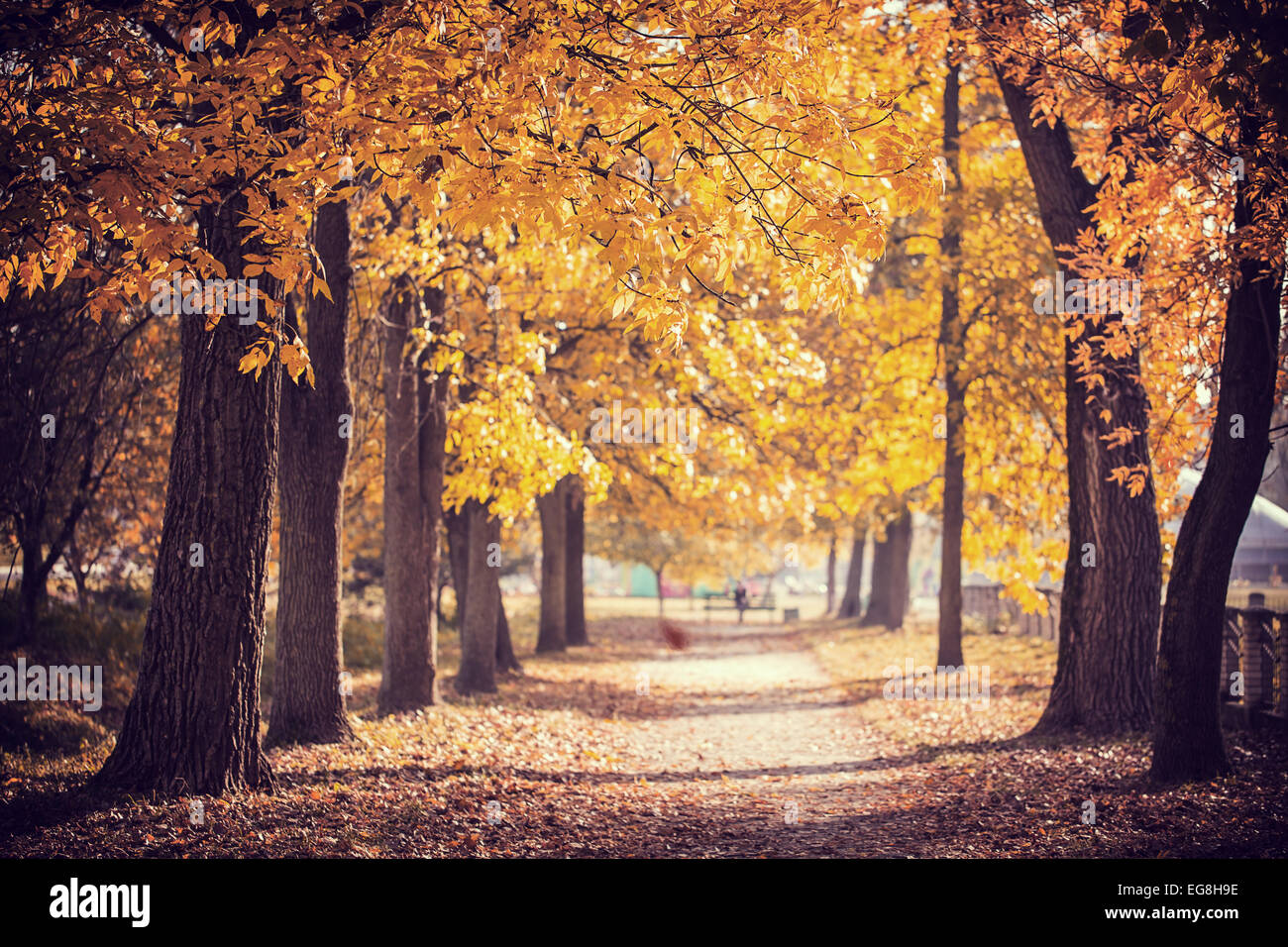 Nyc pathway road hi-res stock photography and images - Alamy