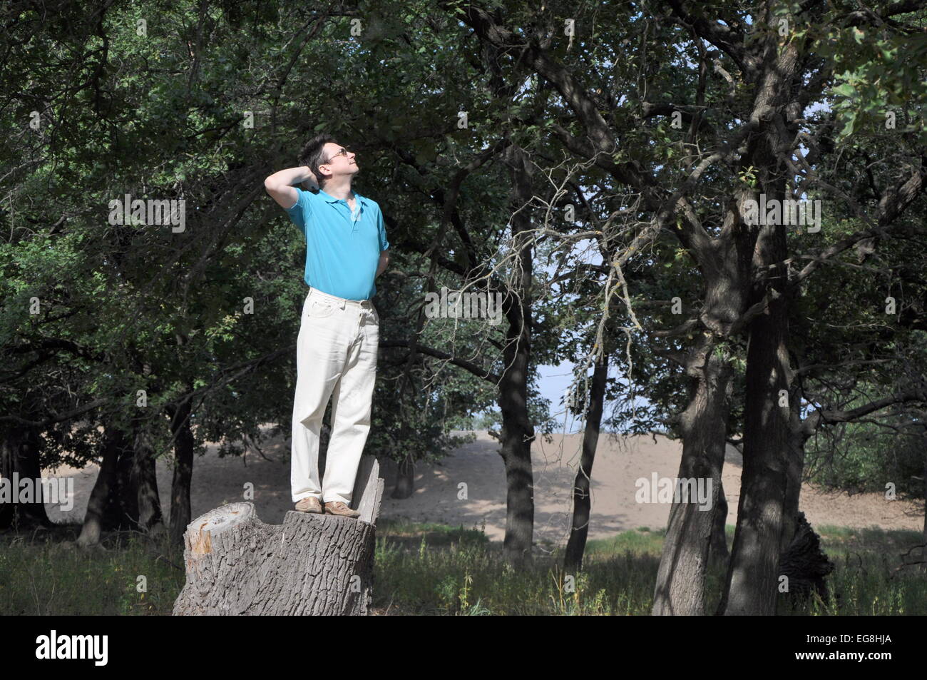 Happy man standing on a tall stump in the oak forest Stock Photo - Alamy