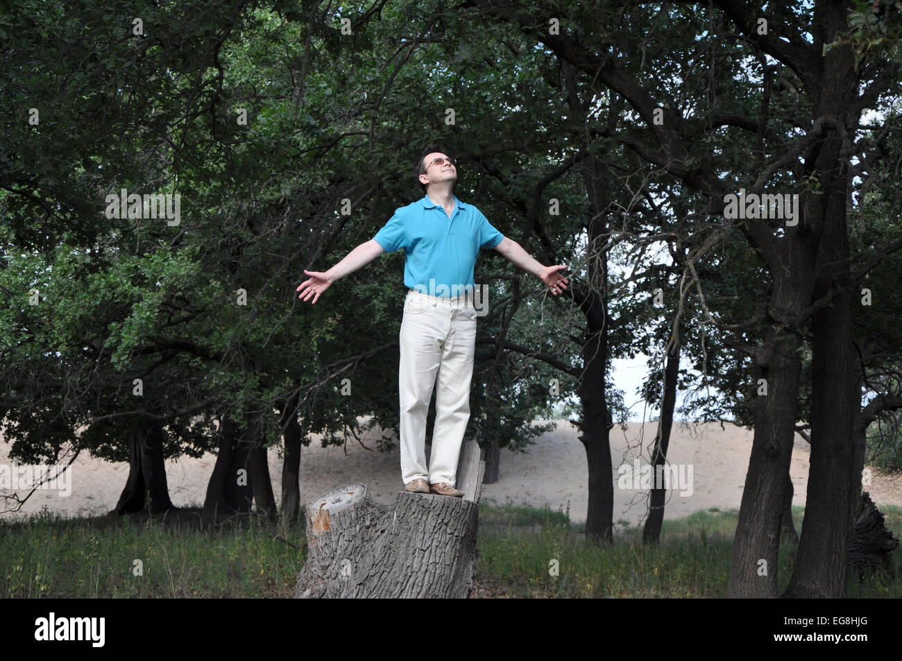 Happy man standing on a tall stump in the oak forest Stock Photo - Alamy