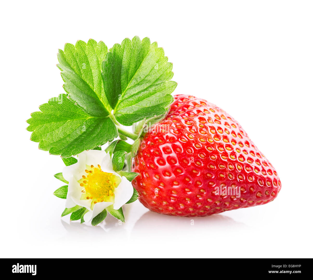 strawberry isolated white background Stock Photo - Alamy