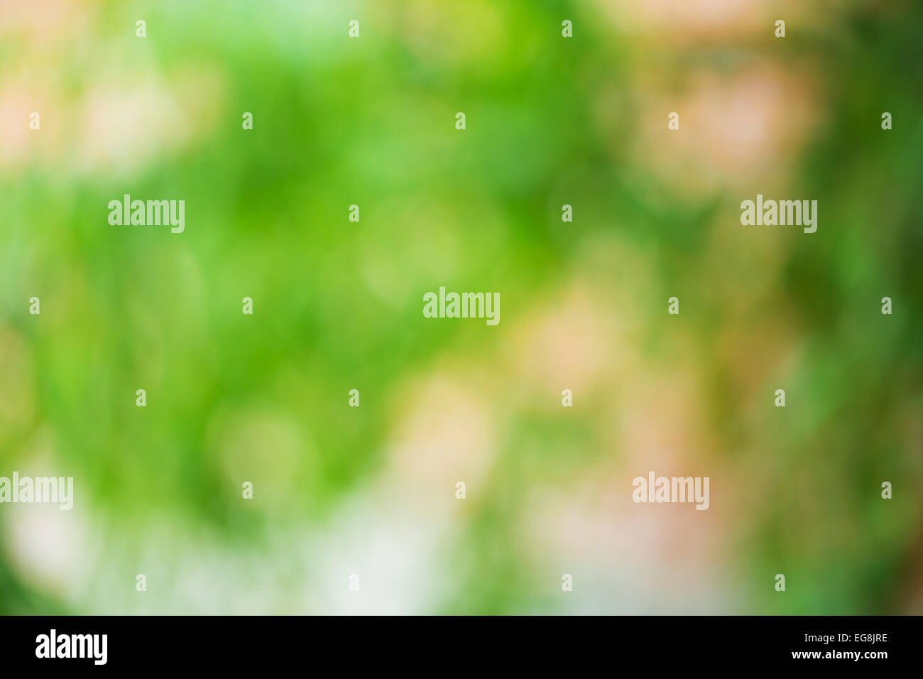 Bokeh with leaf hi-res stock photography and images - Alamy