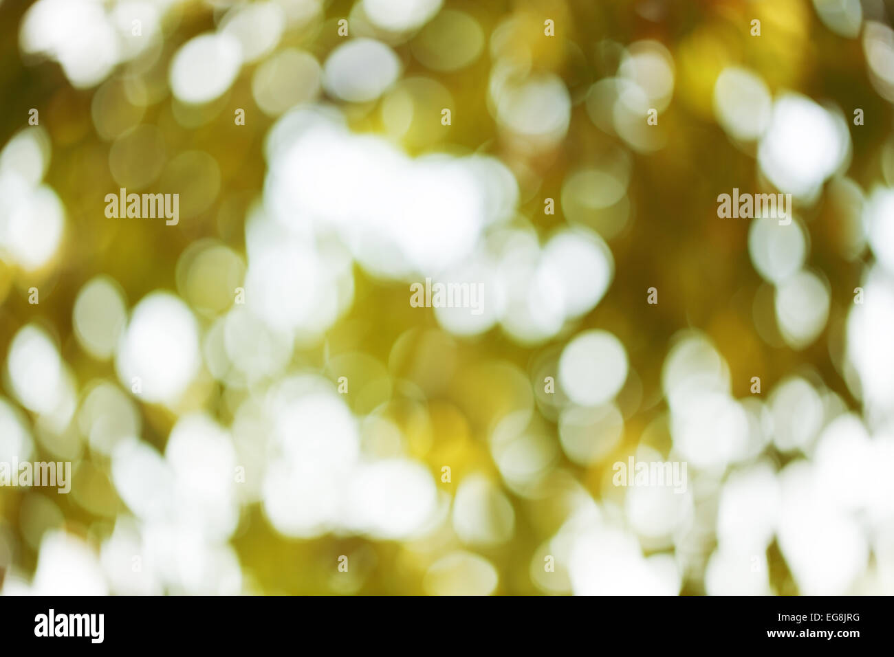 Bokeh with leaf hi-res stock photography and images - Alamy
