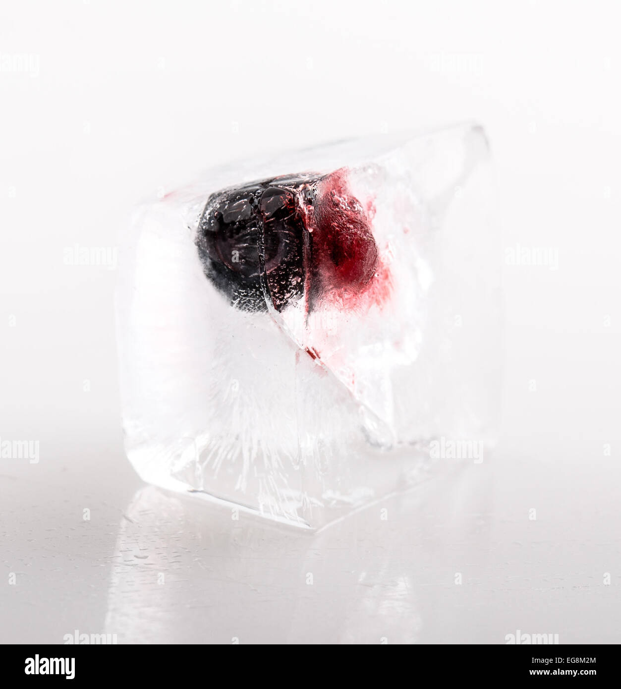 ice white frozen isolated blueberry cube fruit food Stock Photo - Alamy