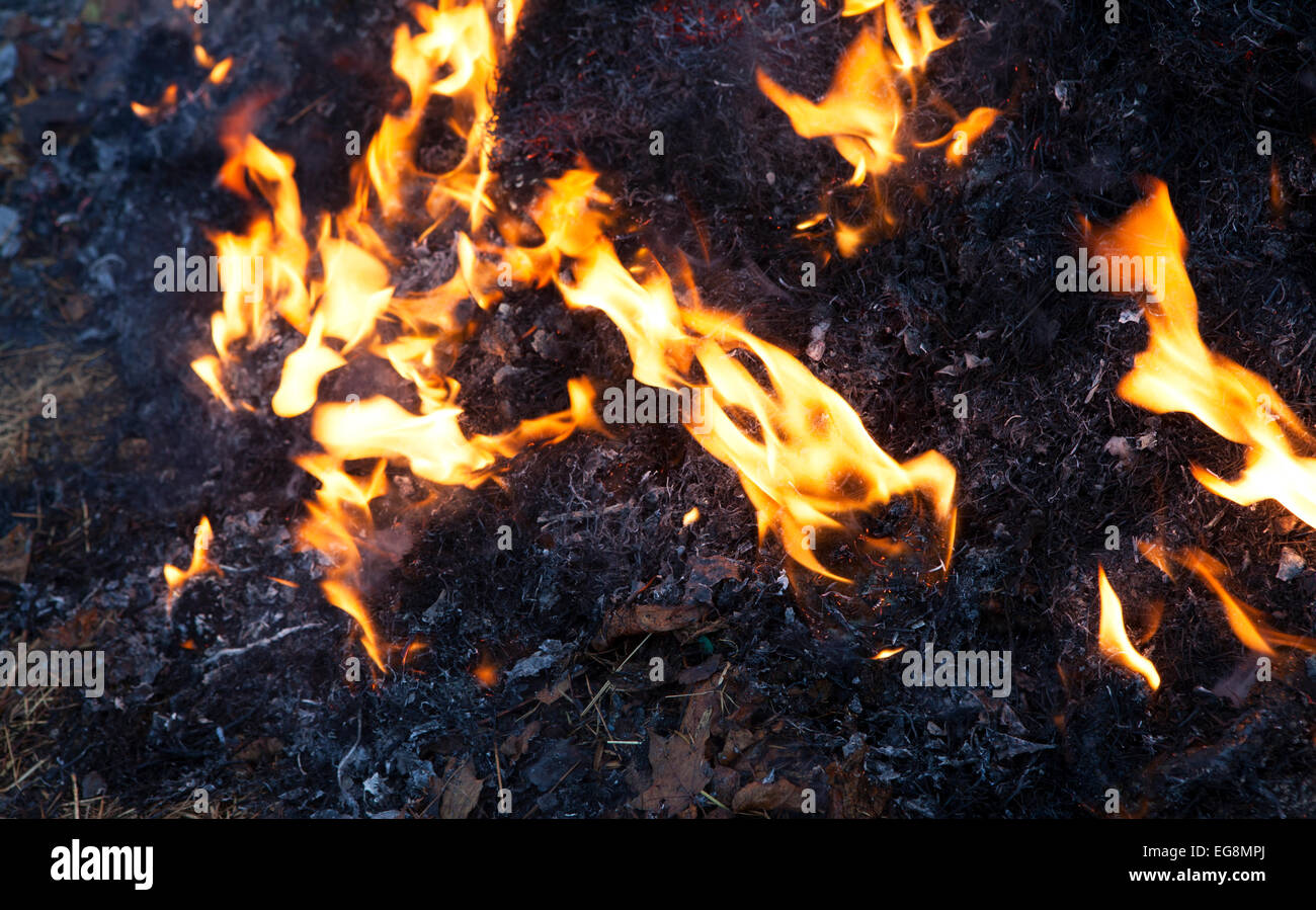 Flame of a bonfire hi-res stock photography and images - Alamy