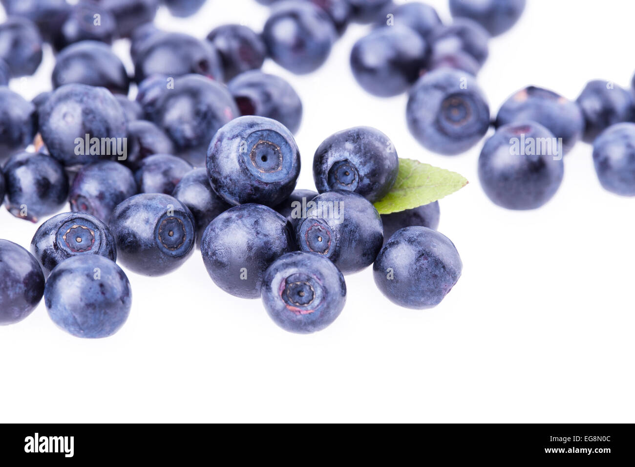 blueberry isolated blueberries white blue berry fruit Stock Photo - Alamy