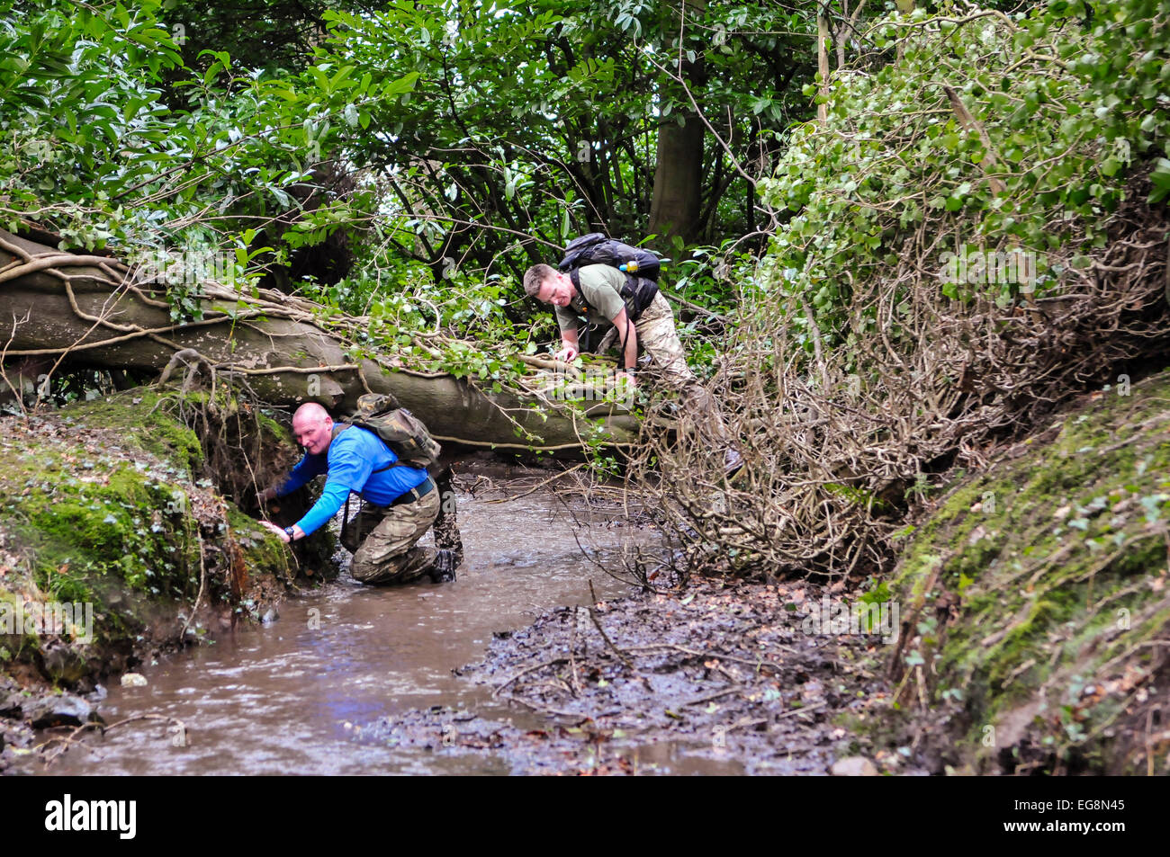 Climbing under fallen tree hi-res stock photography and images - Alamy