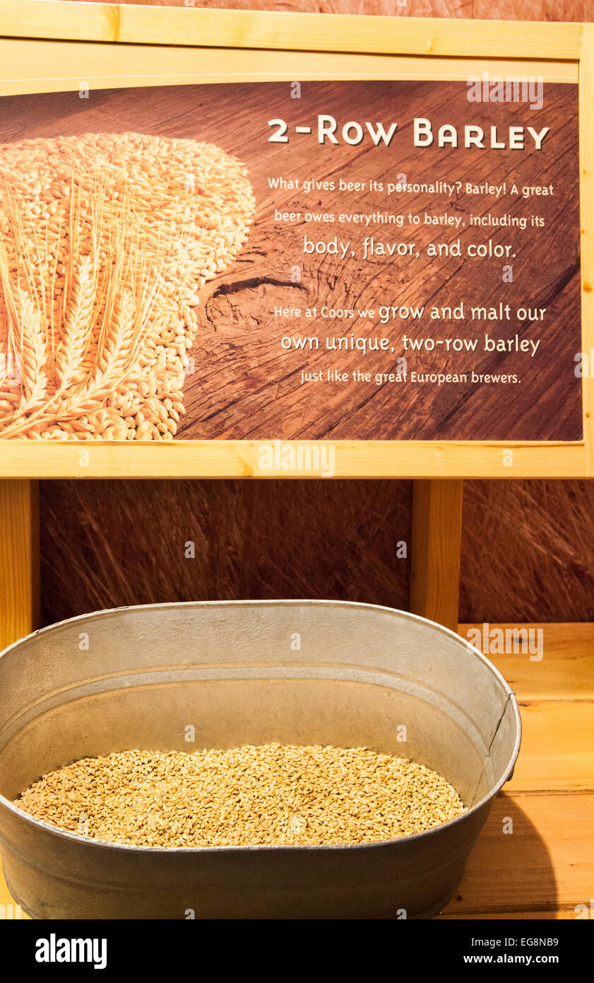 Row barley hi-res stock photography and images - Alamy