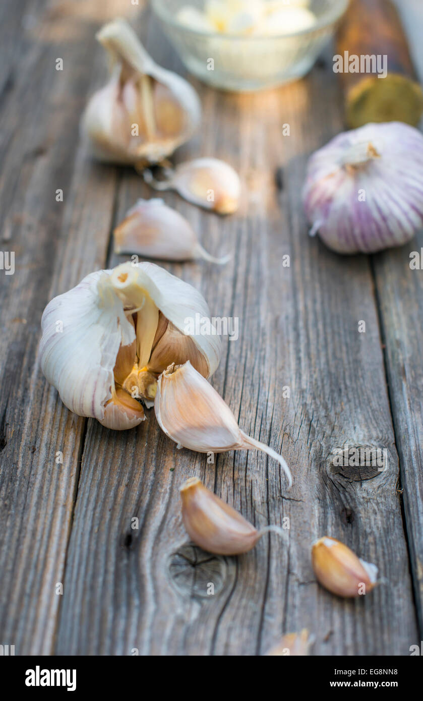 Black bulb hi-res stock photography and images - Alamy