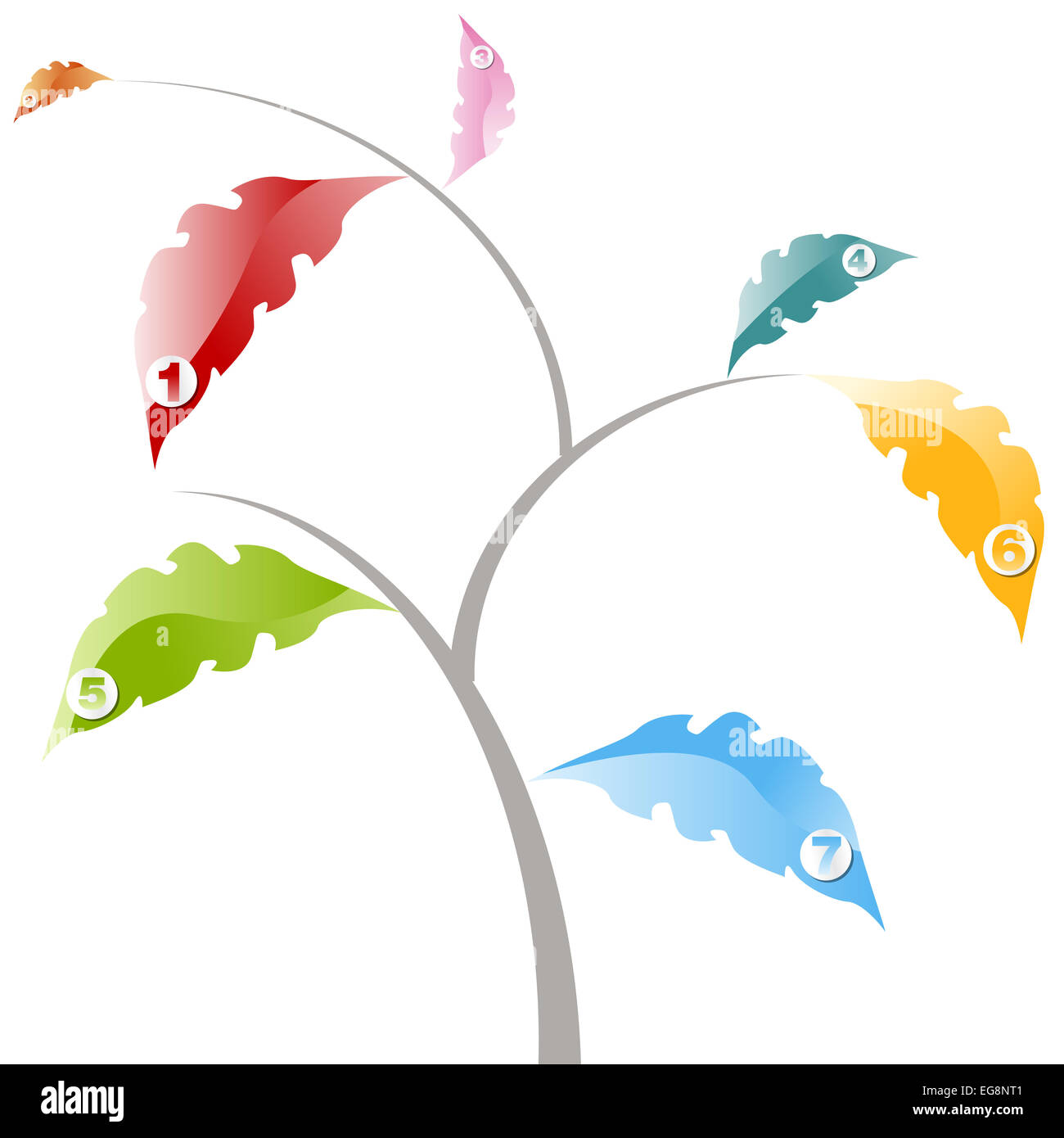 An image of a tree with numbered leaves chart Stock Photo - Alamy
