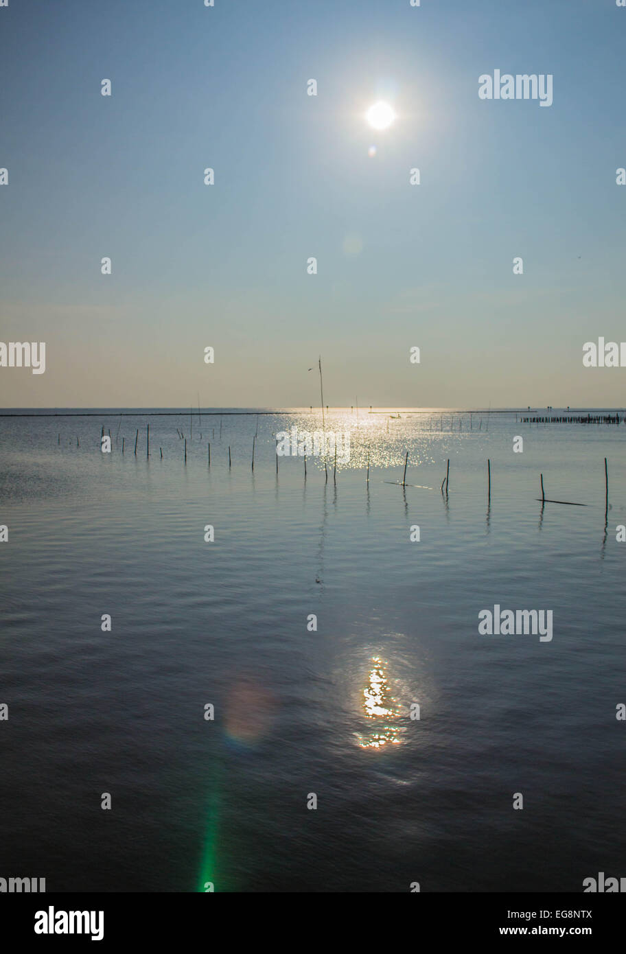 Sun light on the sea Stock Photo - Alamy