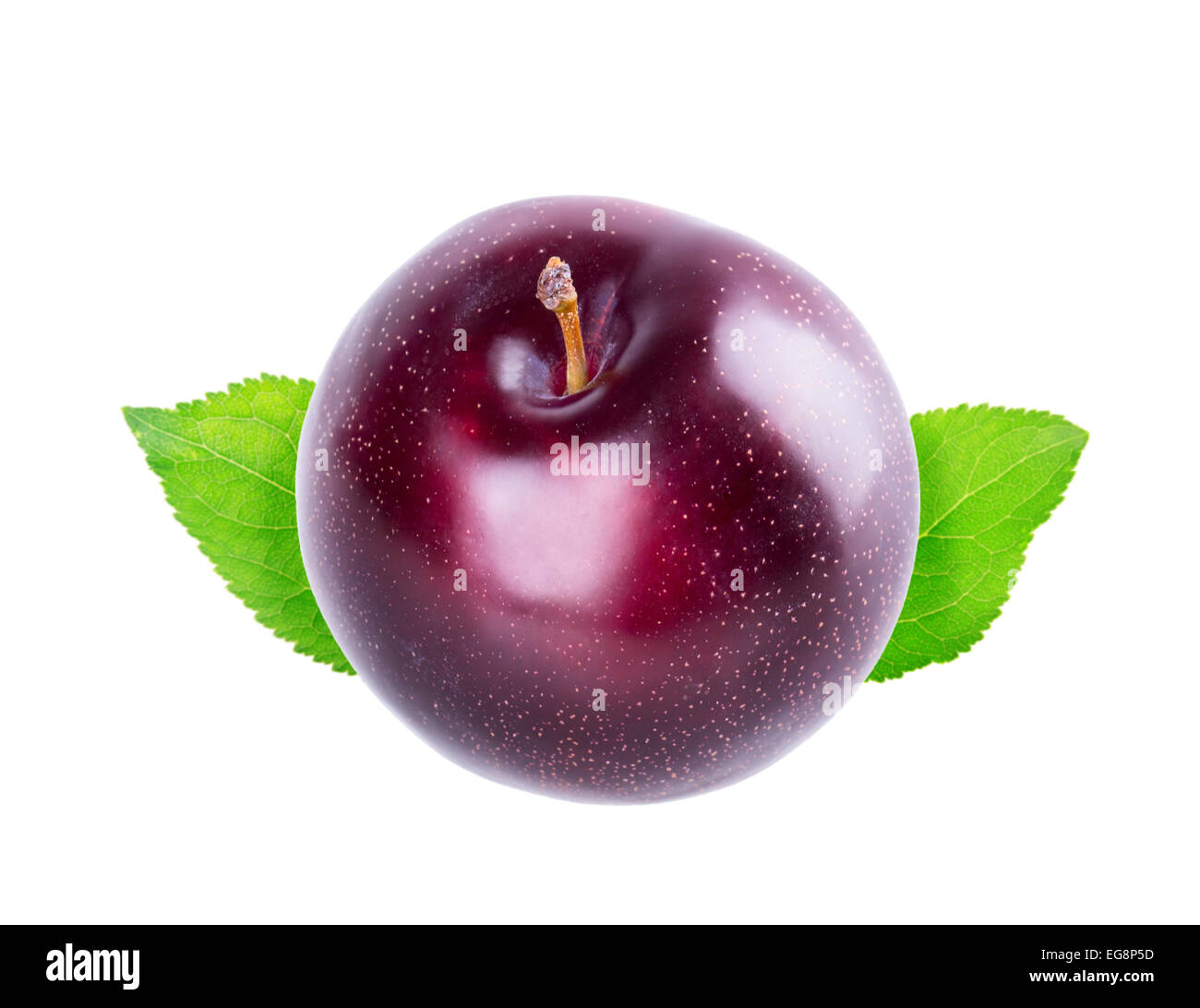 plum plums white isolated background fruit Stock Photo - Alamy