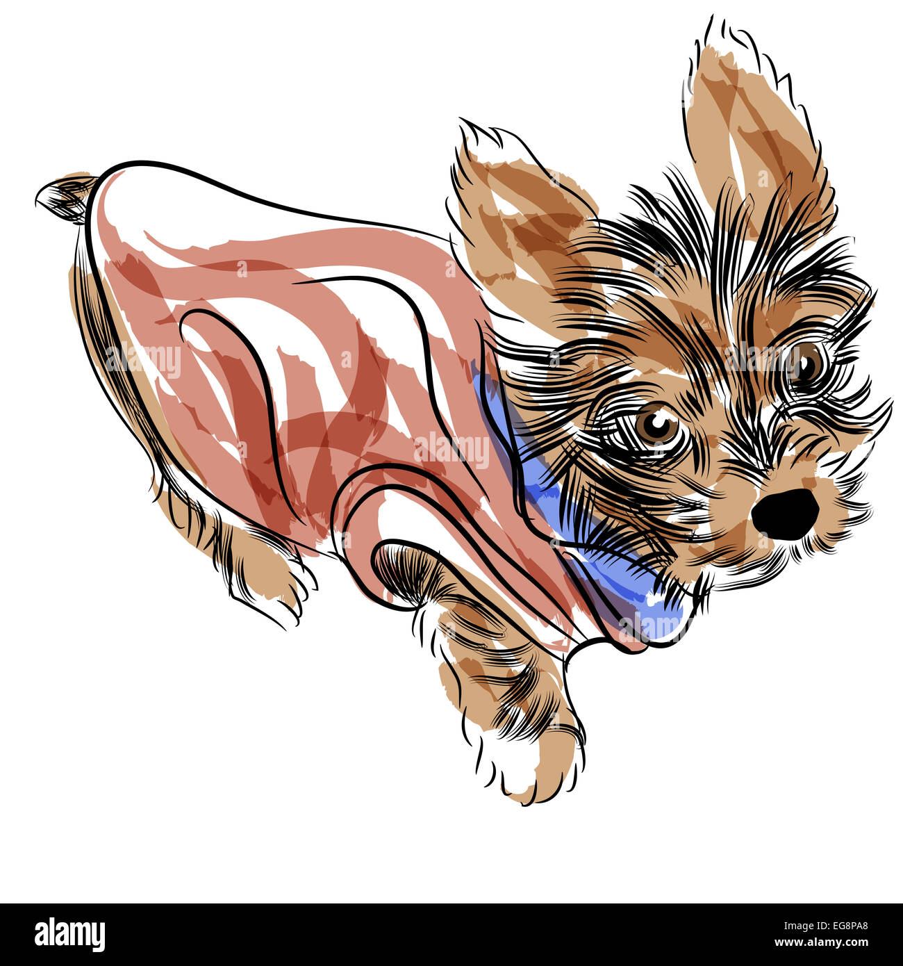 An image of a teacup yorkshire terrier puppy wearing a shirt Stock ...