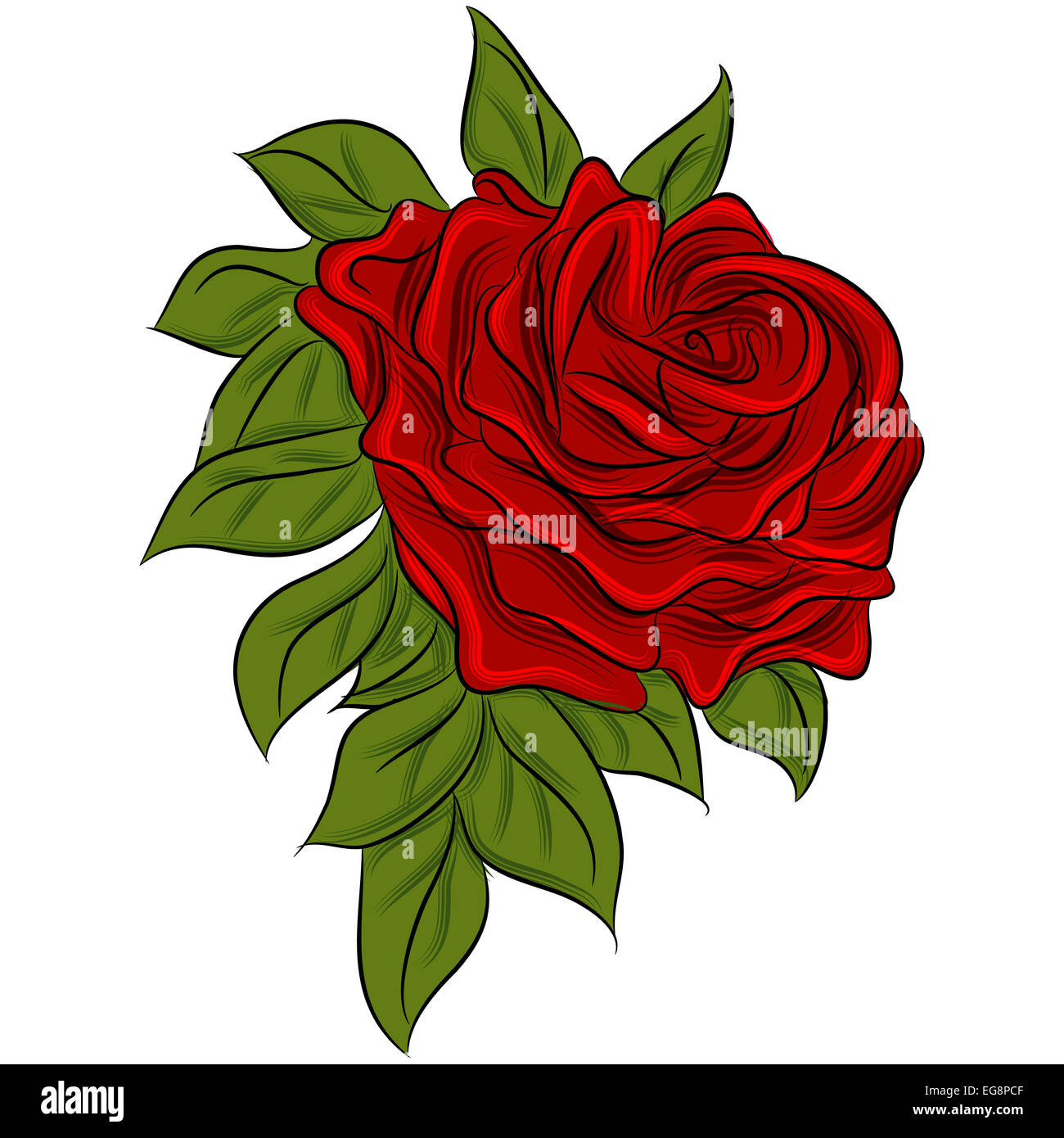 An image of a rose drawing Stock Photo - Alamy