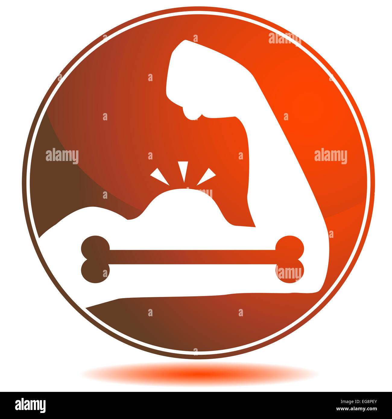 An image of a bone strength icon Stock Photo - Alamy