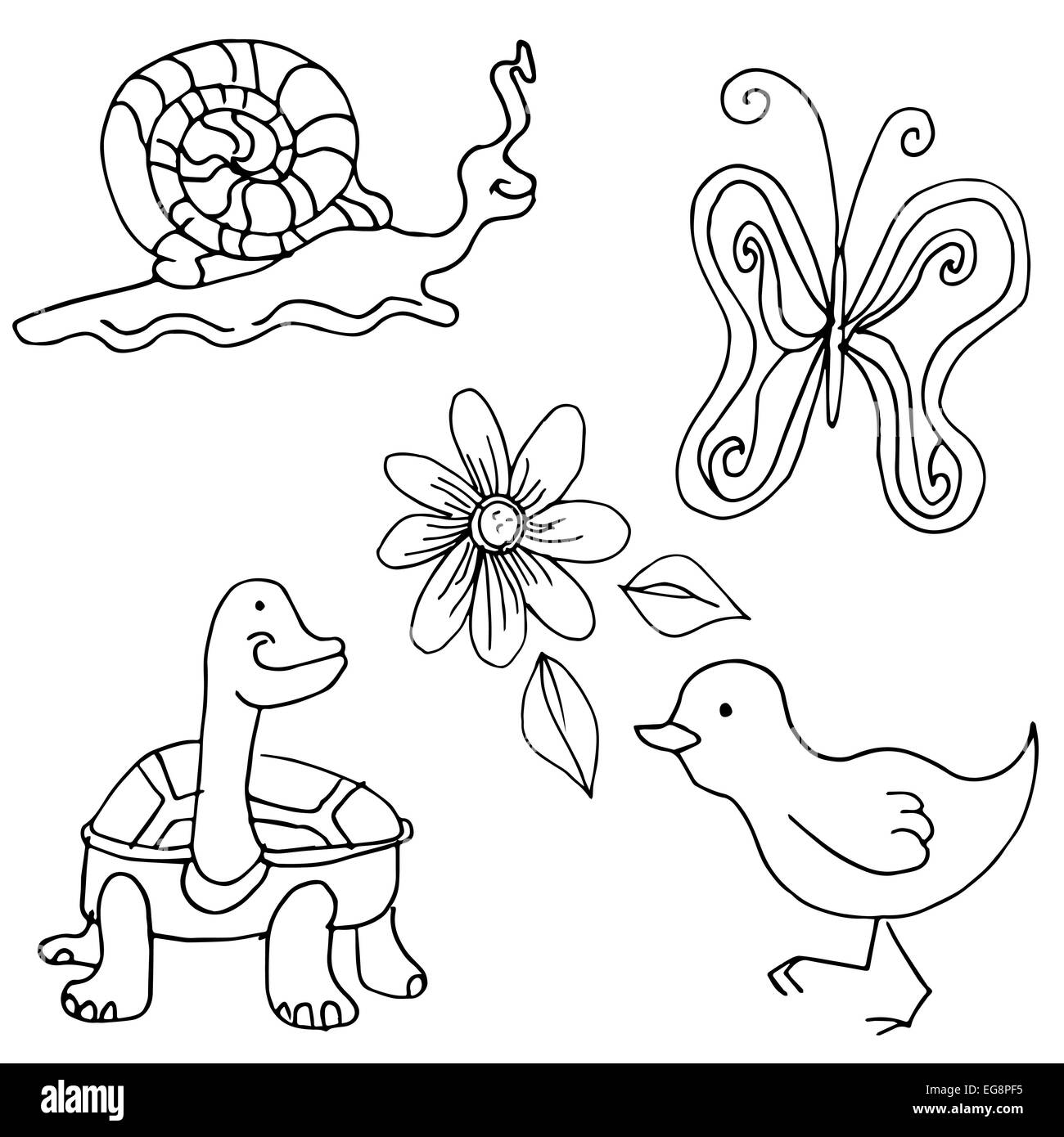 An image of nature creatures Stock Photo - Alamy