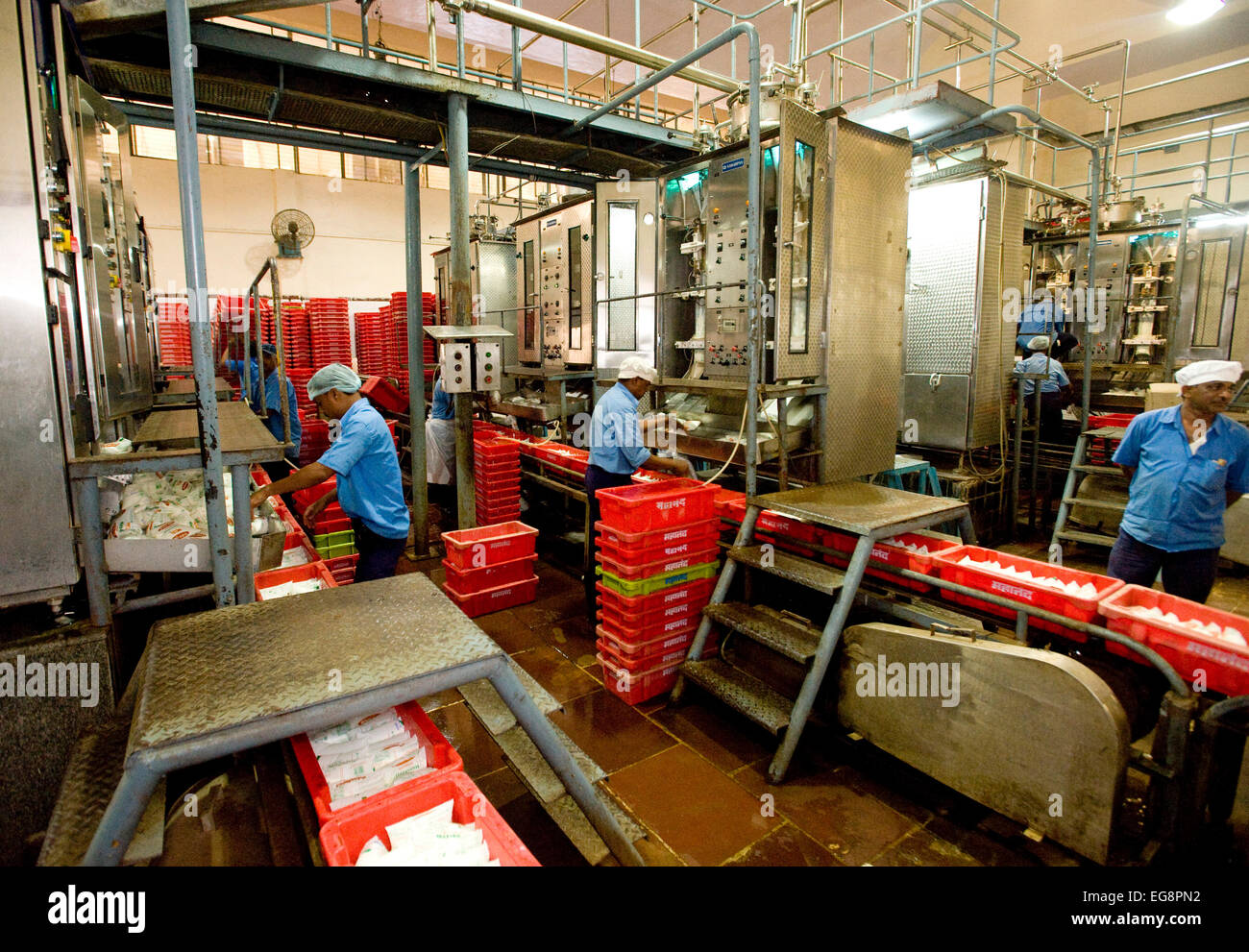 pasteurised milk is put in half litre packs and crated up for ...