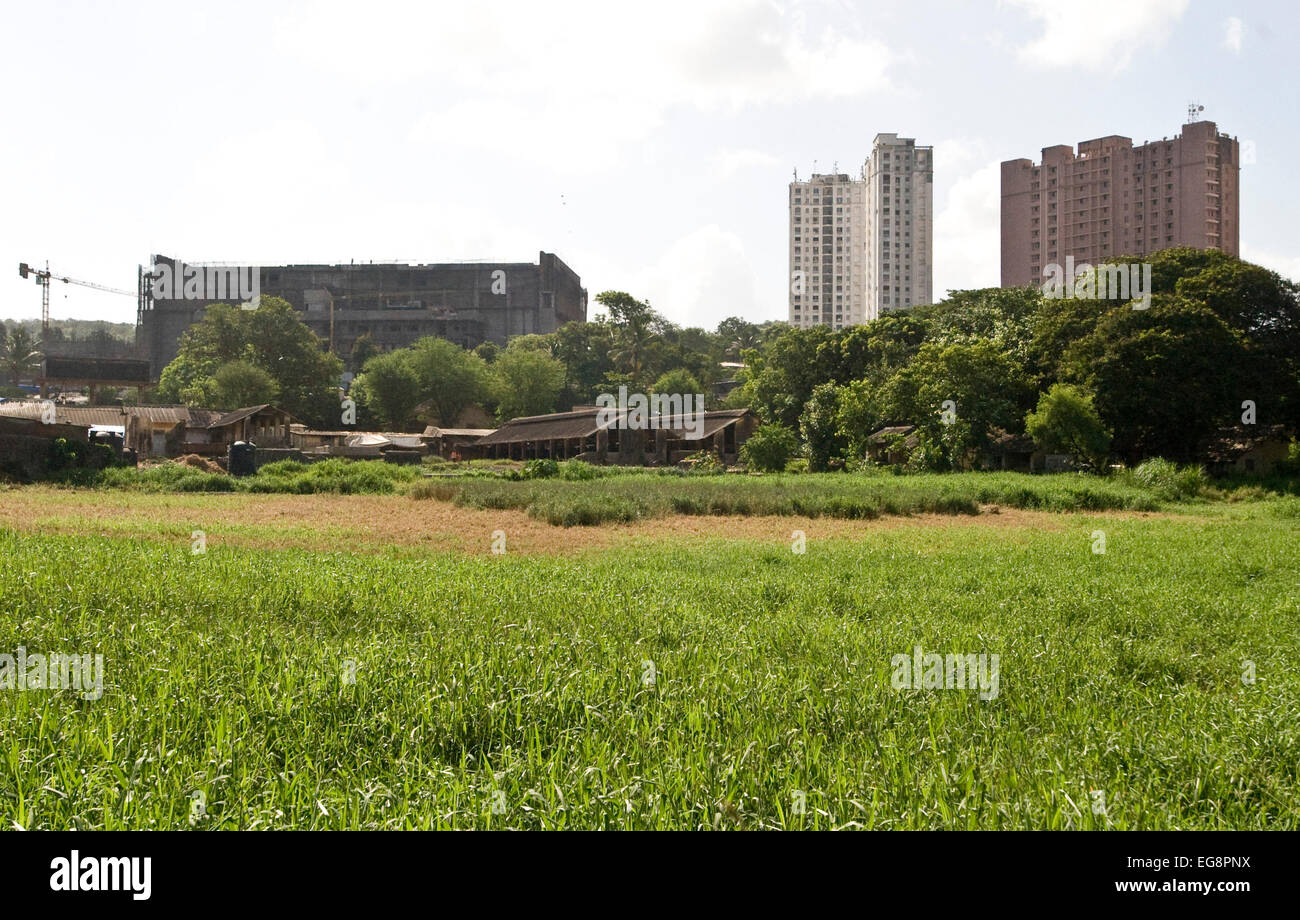 Aarey milk colony conglomeration private hi-res stock photography and ...