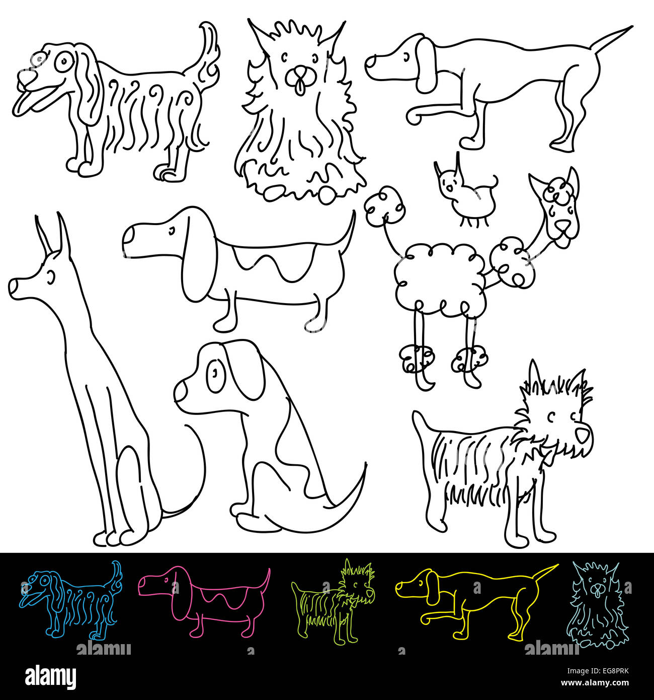 An image of a set of dog breeds Stock Photo - Alamy