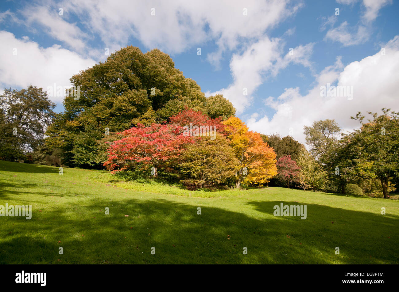 Batsford Arboretum Autumn Stock Photo - Alamy