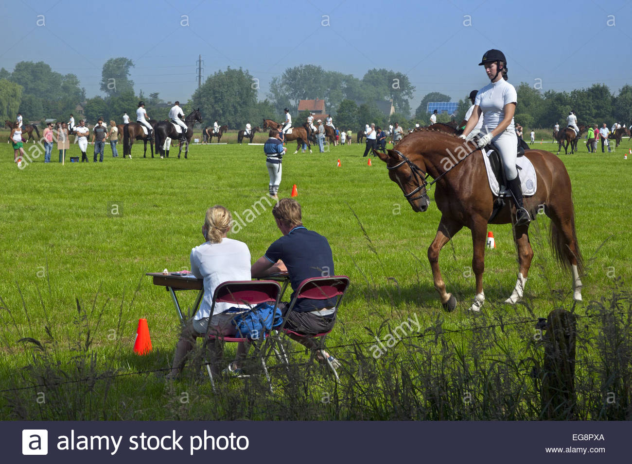 Horse Judge High Resolution Stock Photography and Images - Alamy