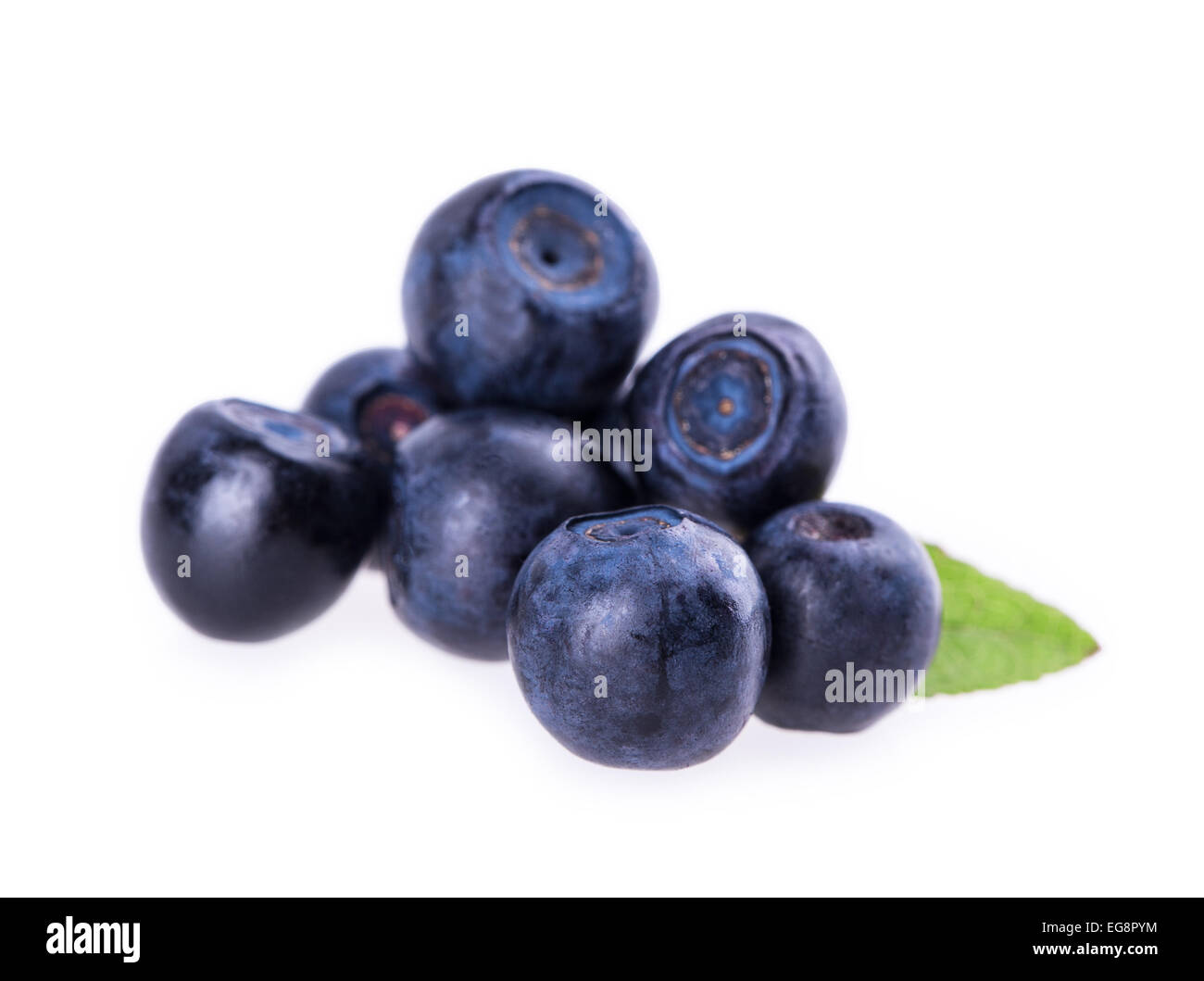 blueberry isolated blueberries white blue berry fruit Stock Photo - Alamy