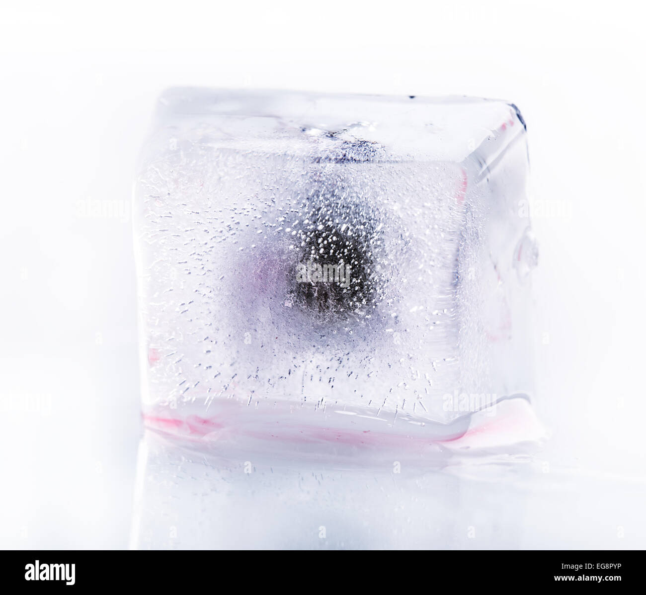 ice white frozen isolated blueberry cube fruit food Stock Photo - Alamy