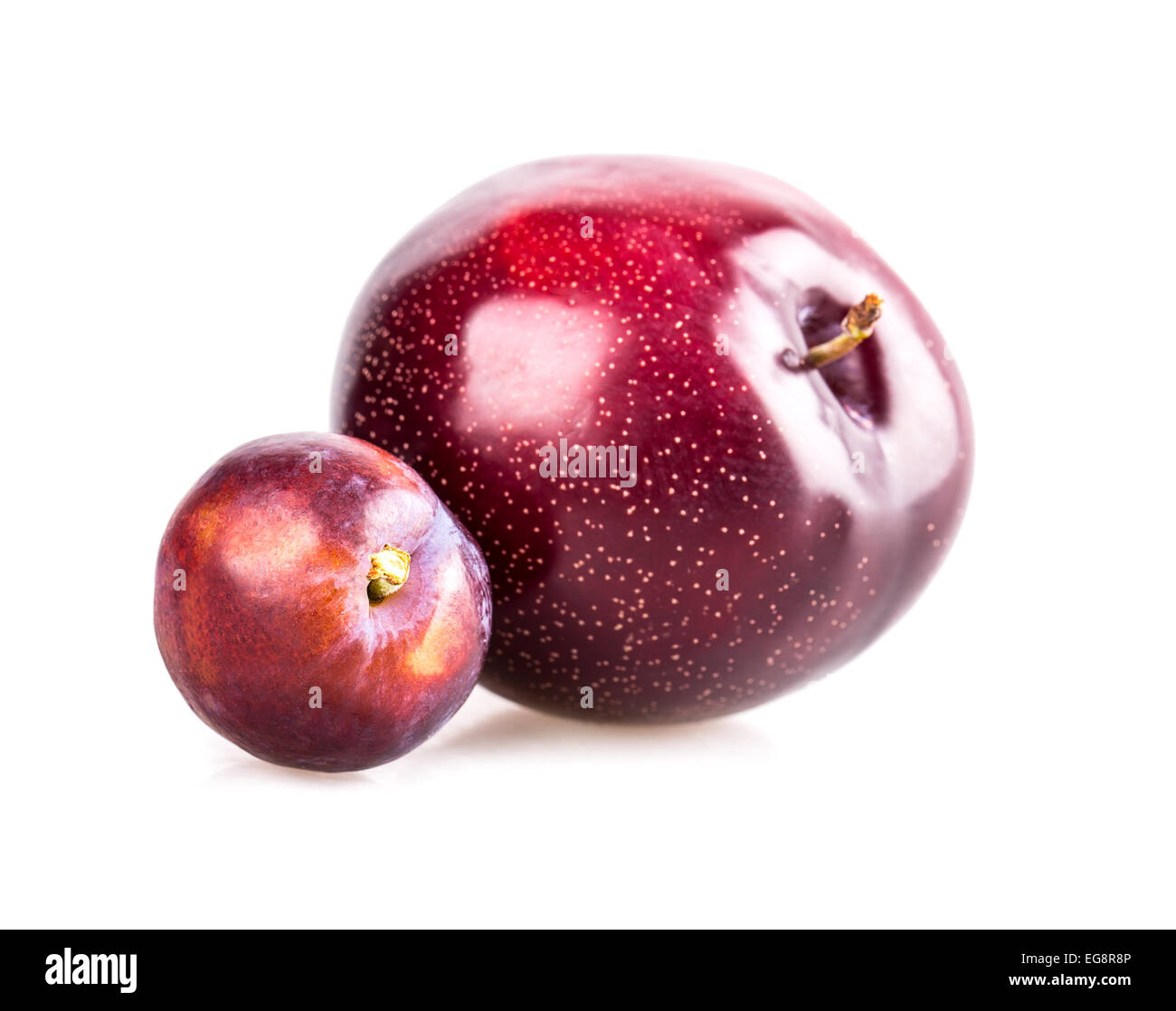 plum isolated on white background Stock Photo - Alamy