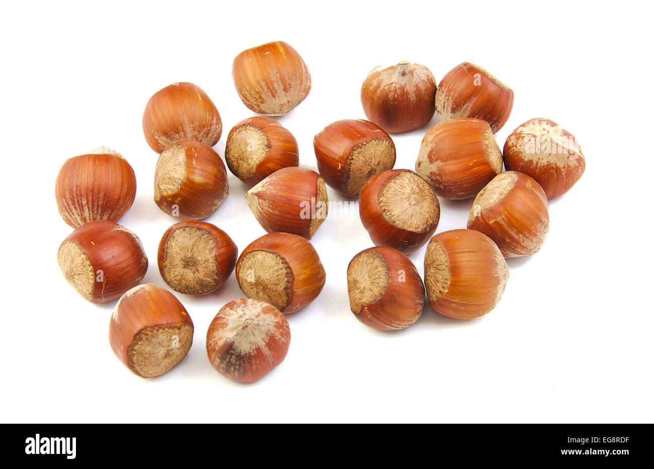 Walnut hazelnut coconut isolated Cut Out Stock Images & Pictures - Alamy