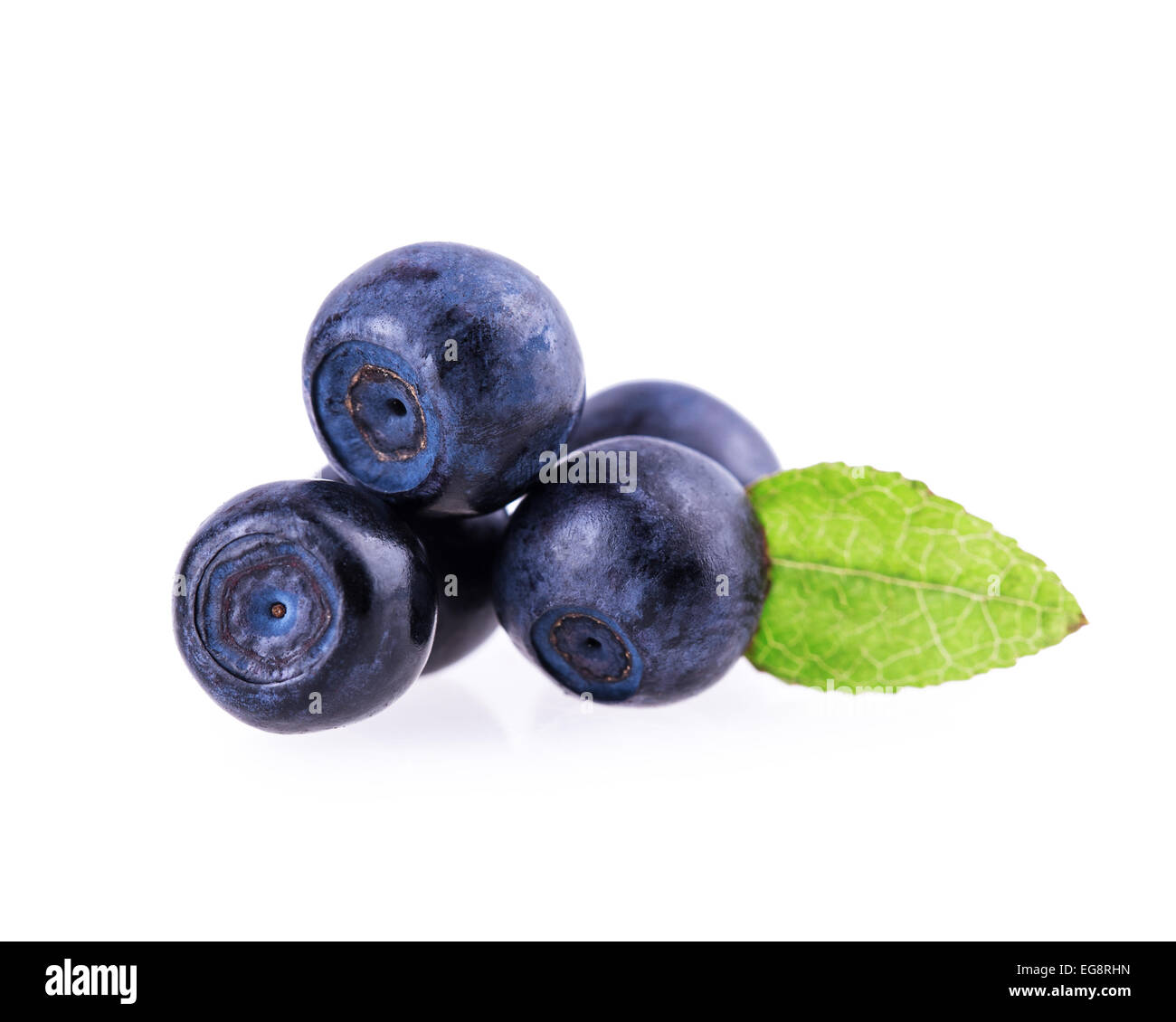 blueberry isolated blueberries white blue berry fruit Stock Photo - Alamy