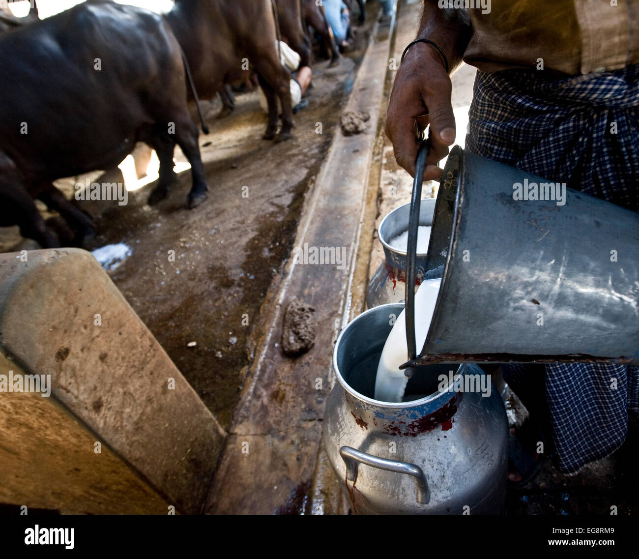 Aarey milk colony conglomeration private hi-res stock photography and ...