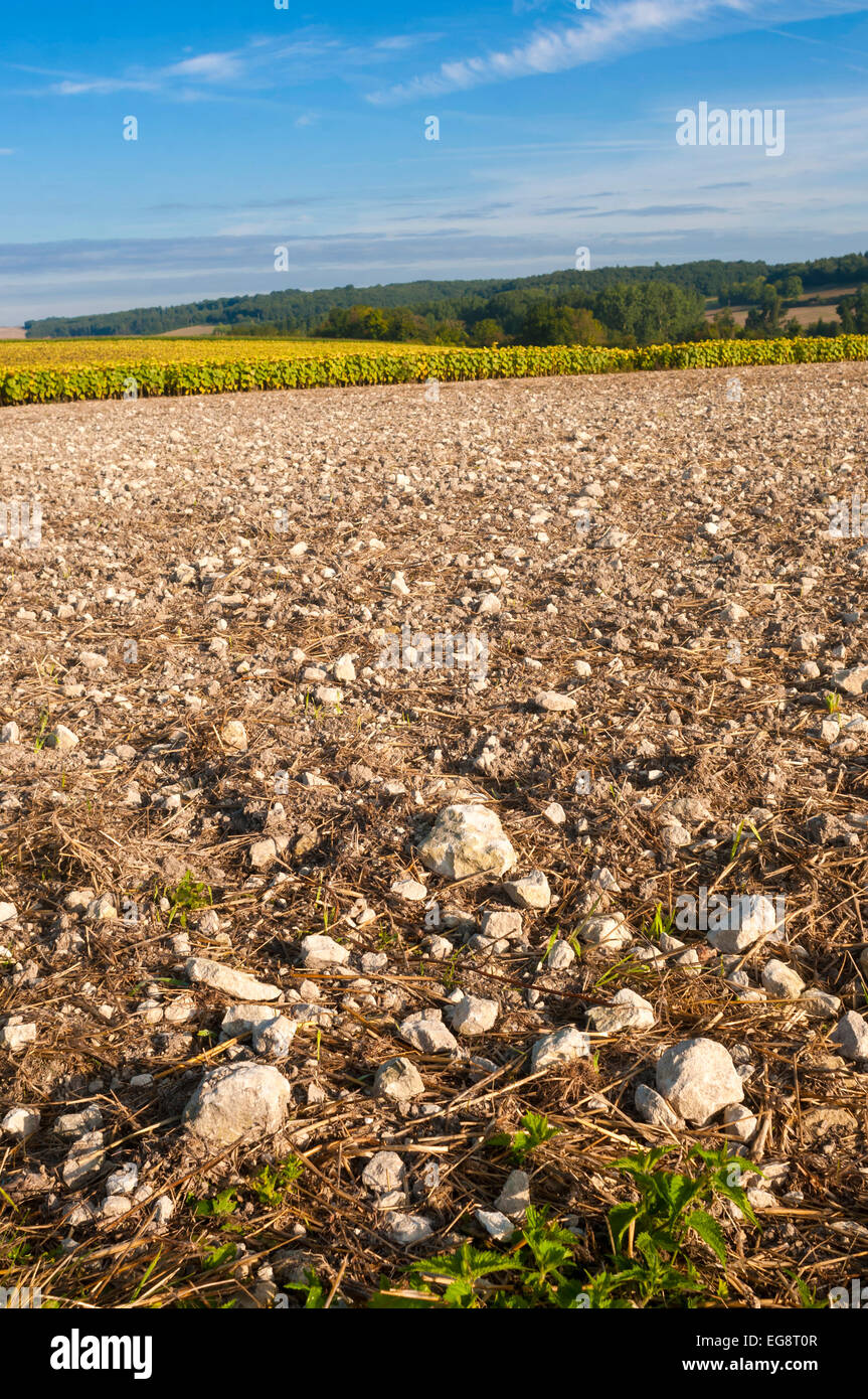 Limestone farmland hi-res stock photography and images - Alamy