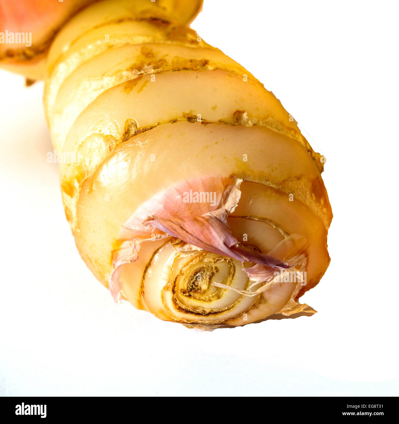 Ginger and white hi-res stock photography and images - Alamy