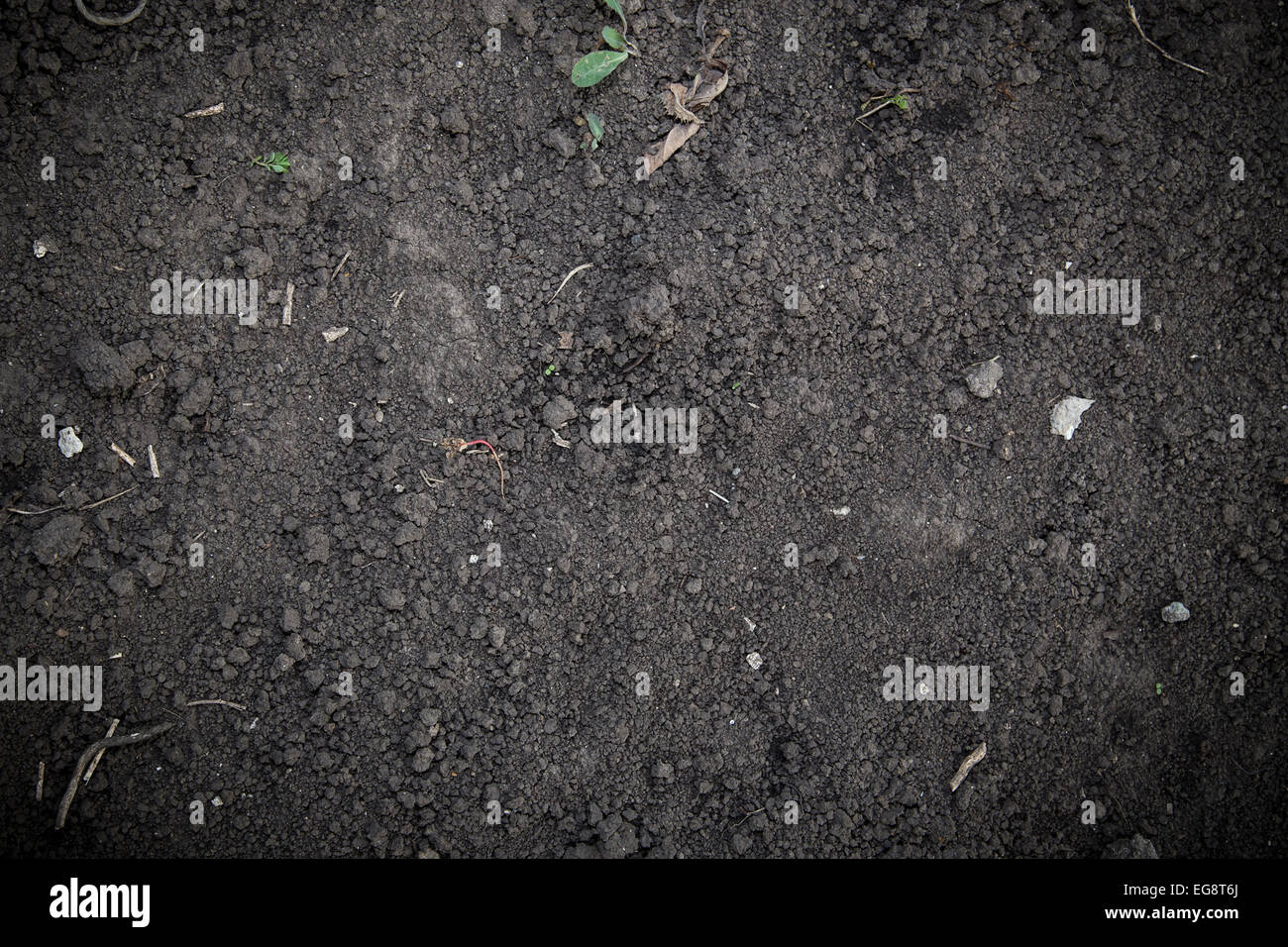 Black soil texture hi-res stock photography and images - Alamy