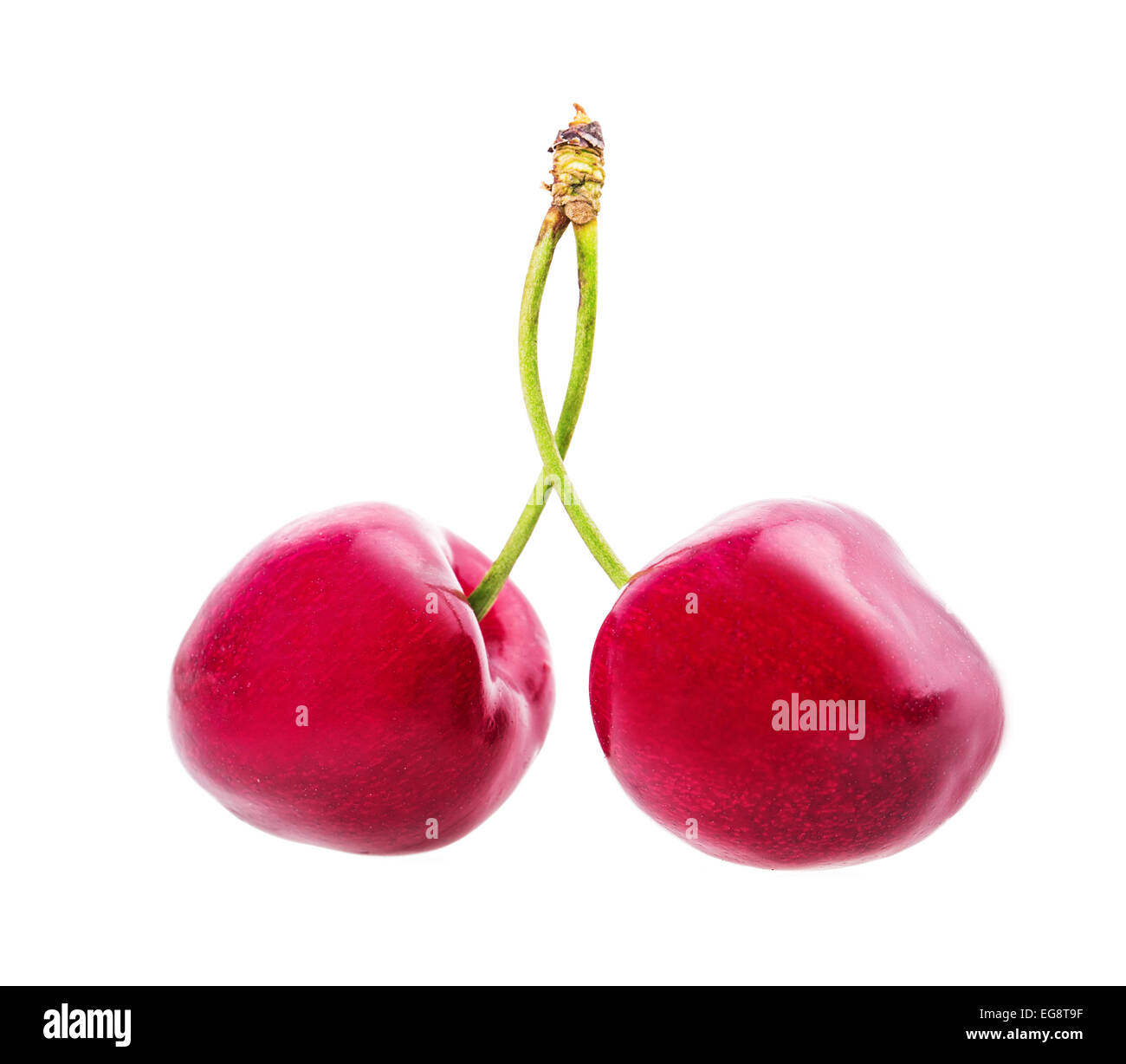 cherry isolated white sweet cherries fruit berry Stock Photo - Alamy