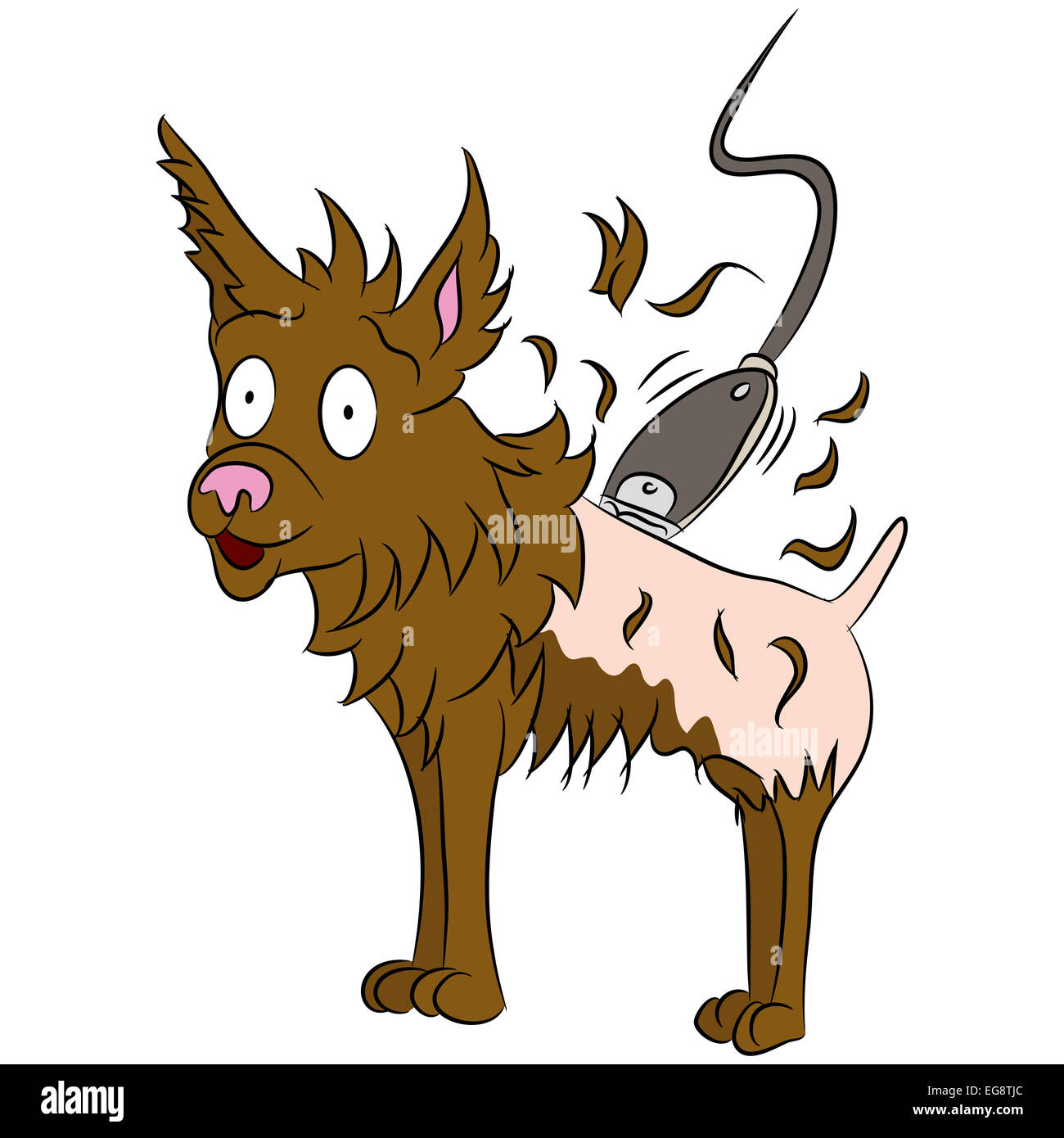 An image of a dog being shaved Stock Photo - Alamy