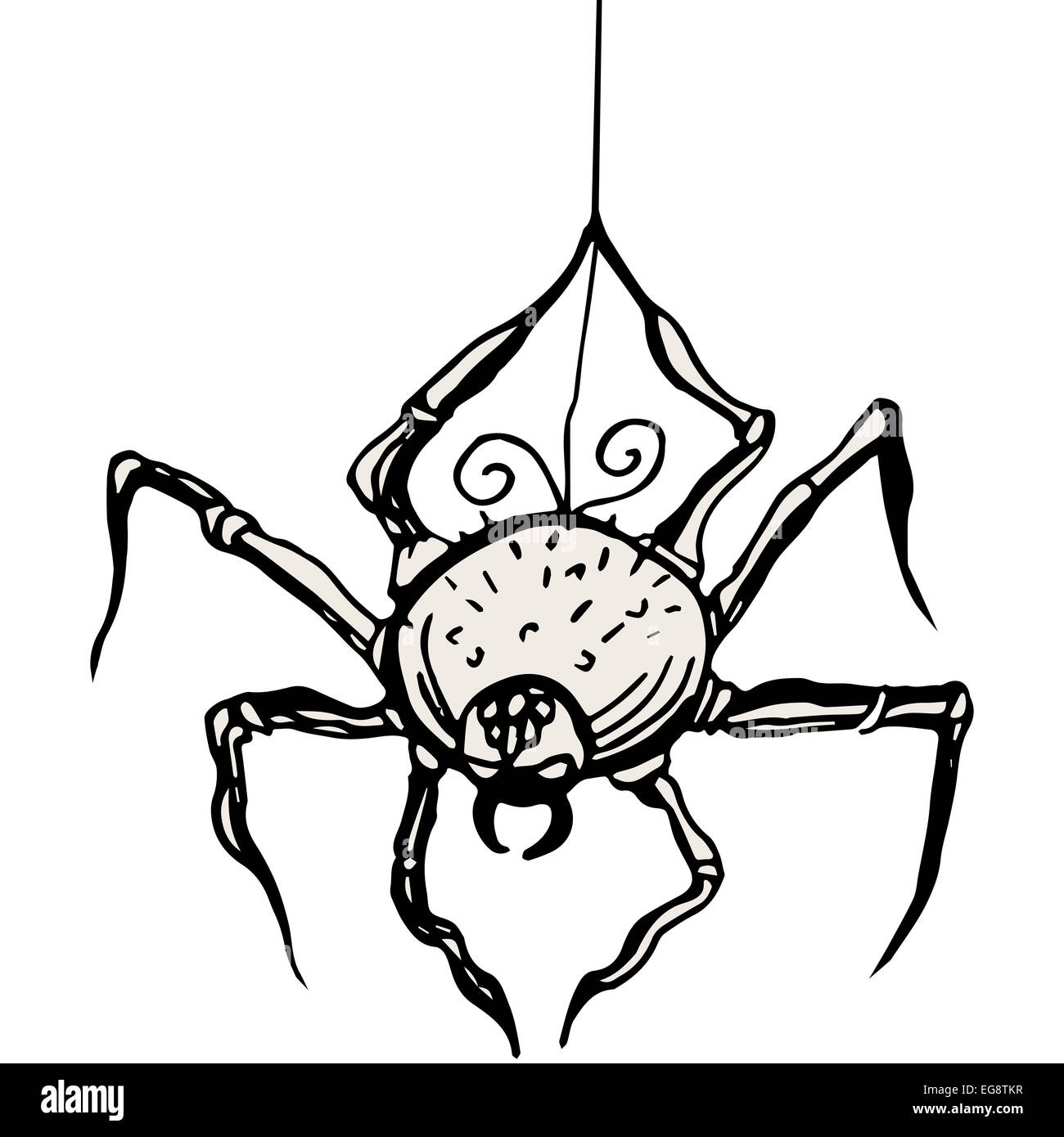 An image of a spider hanging by a thread Stock Photo - Alamy