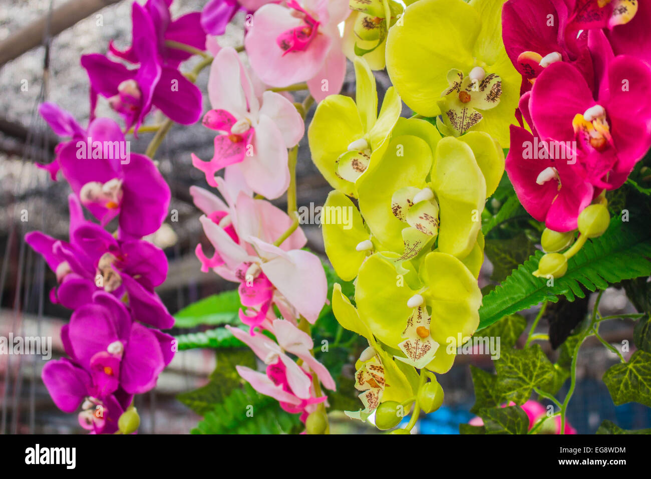 The colorful flower sticker bully Stock Photo - Alamy