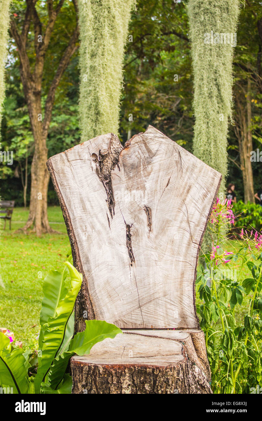 Tree stump seat hi-res stock photography and images - Alamy