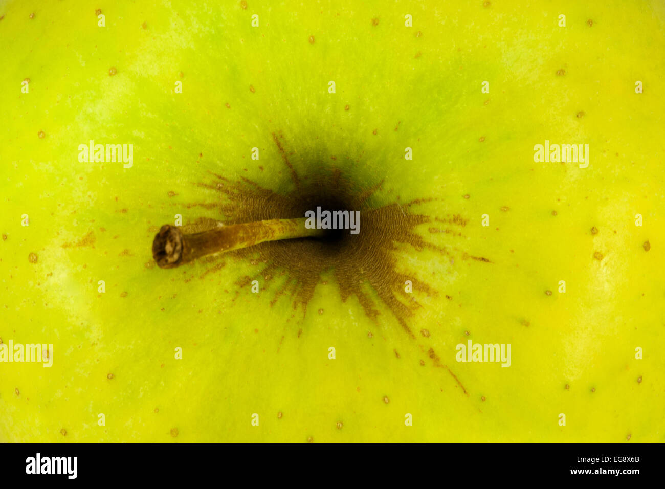 Apple close up Stock Photo - Alamy