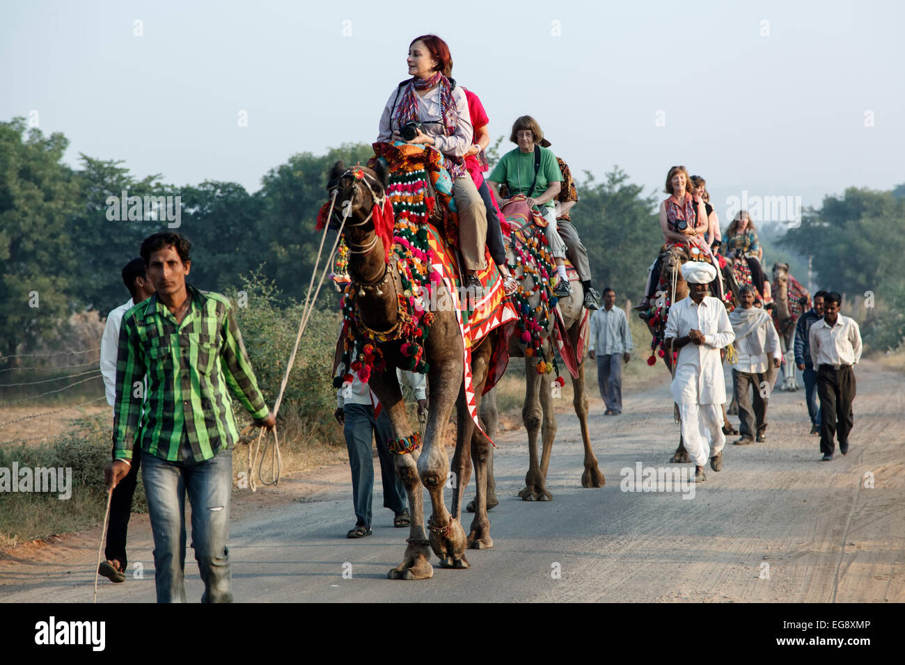 India decorated camel hi-res stock photography and images - Alamy