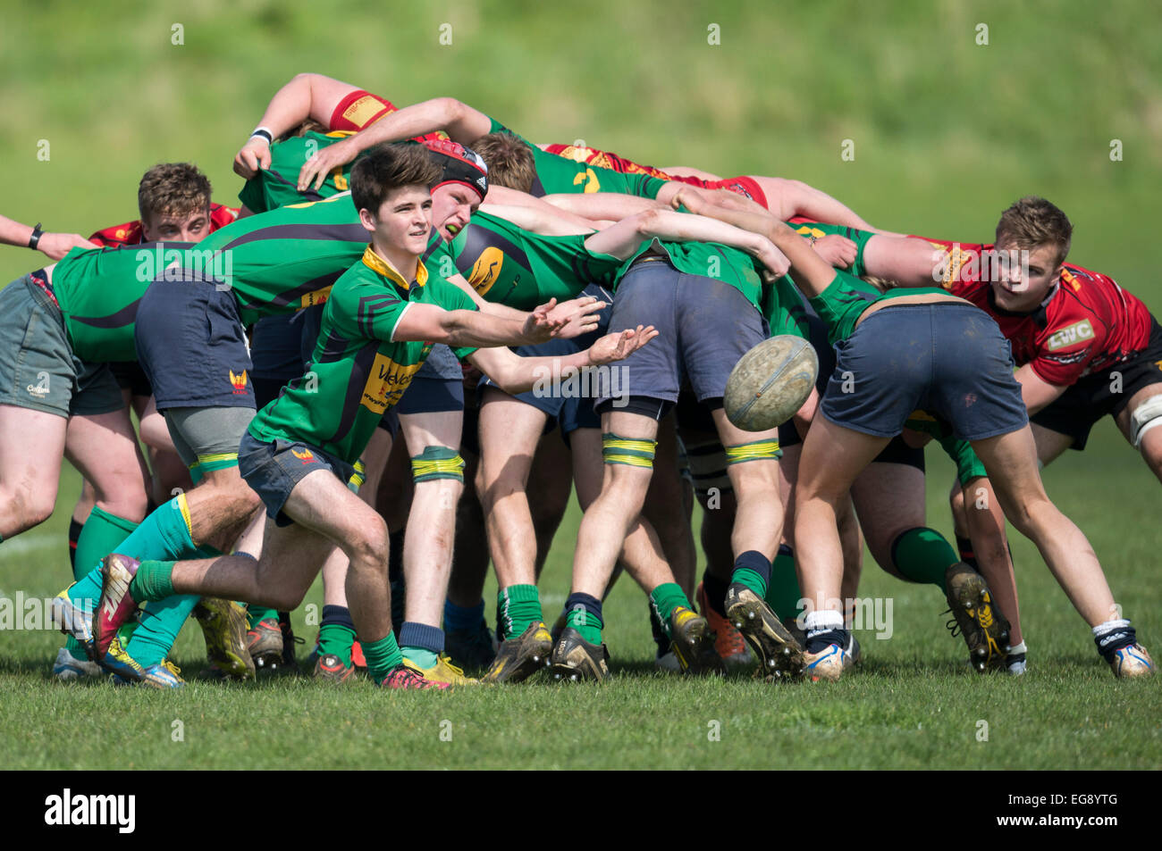 Scrum Half Passing Ball High Resolution Stock Photography and Images ...